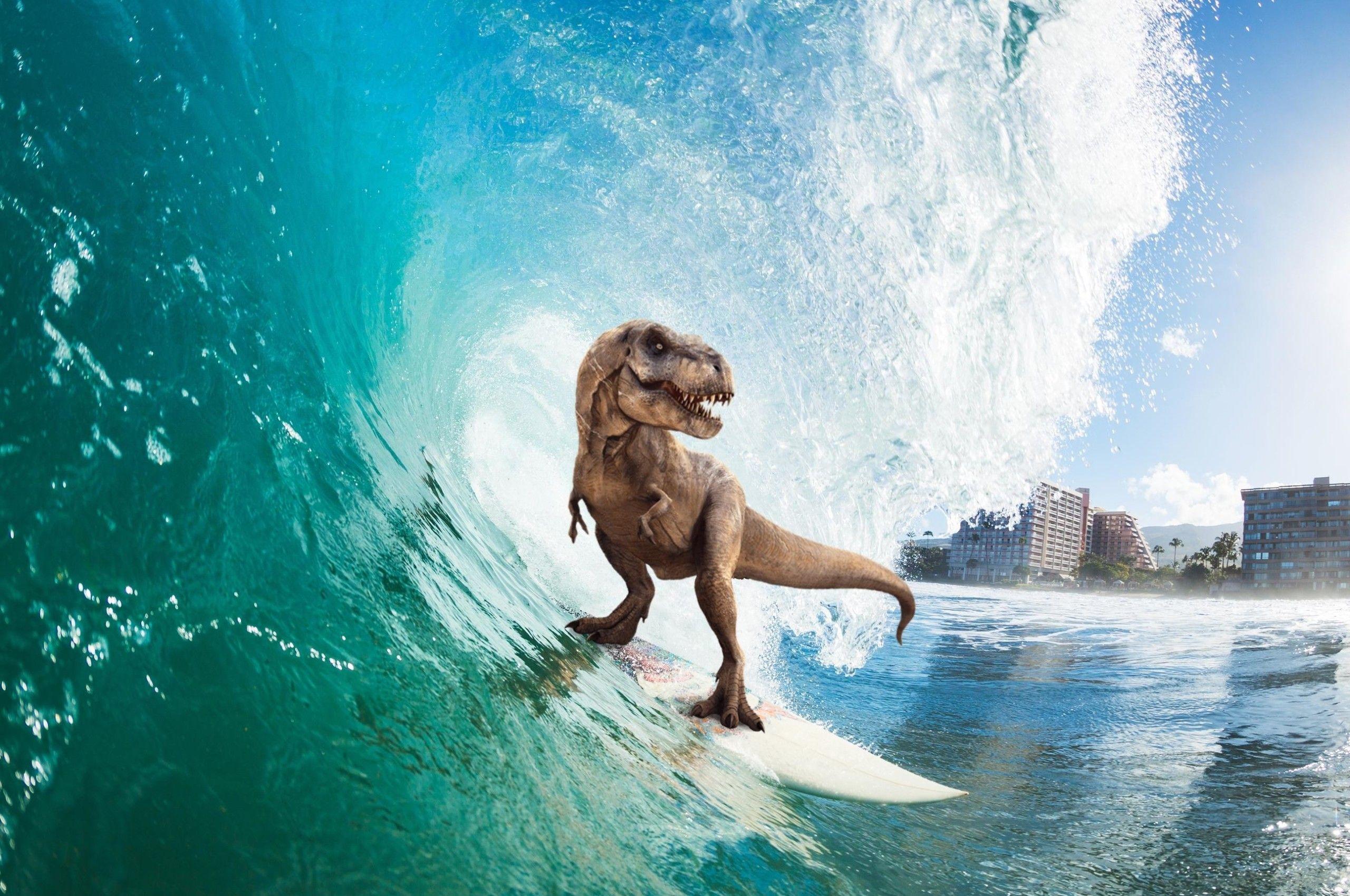 Surfing 4k Wallpapers - Top Free Surfing 4k Backgrounds - WallpaperAccess