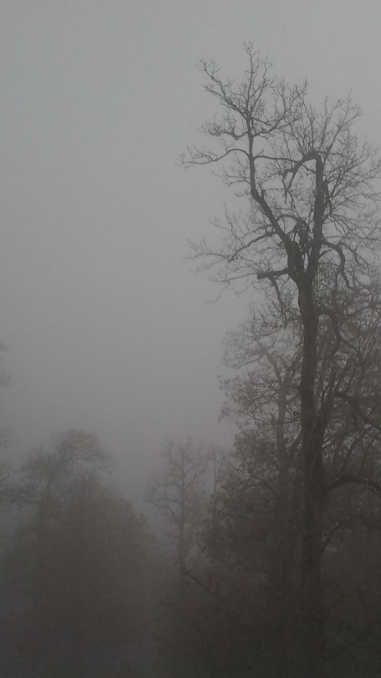 Creepy iPhone Wallpapers - Top Free Creepy iPhone Backgrounds ...