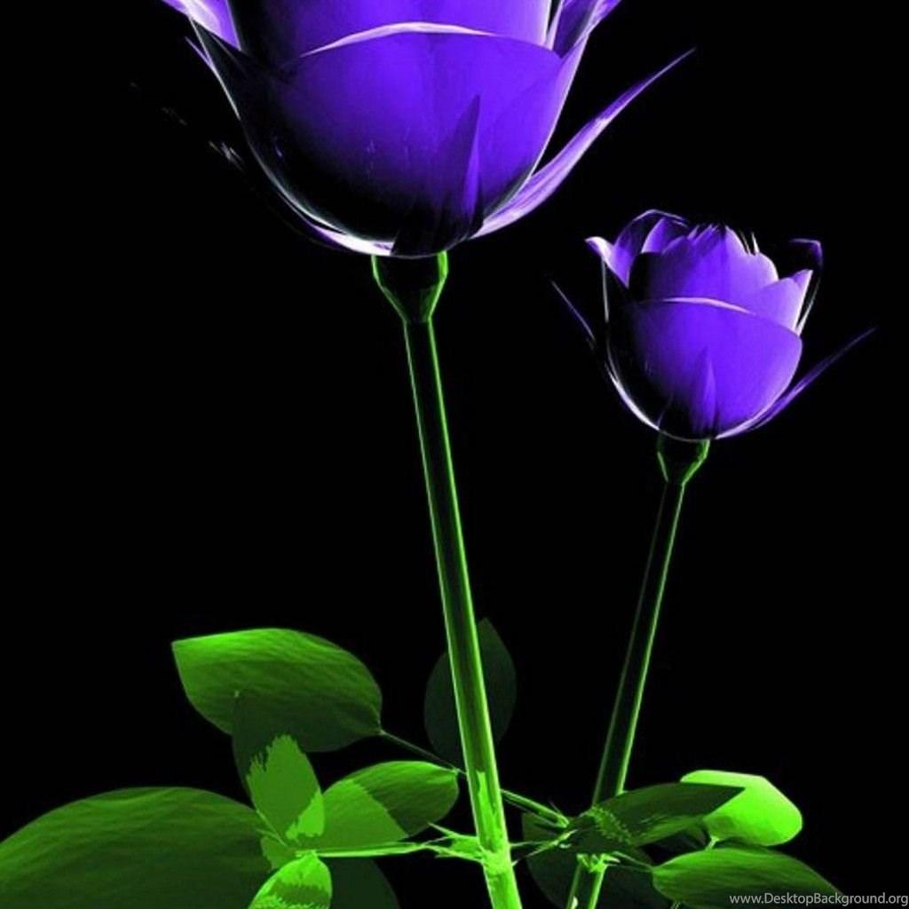 Hình nền Miễn phí - Top Những Hình Ảnh Đẹp