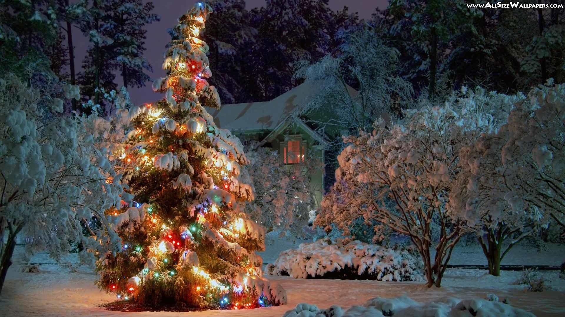 Christmas Nature Wallpapers - Top Free Christmas Nature Backgrounds ...