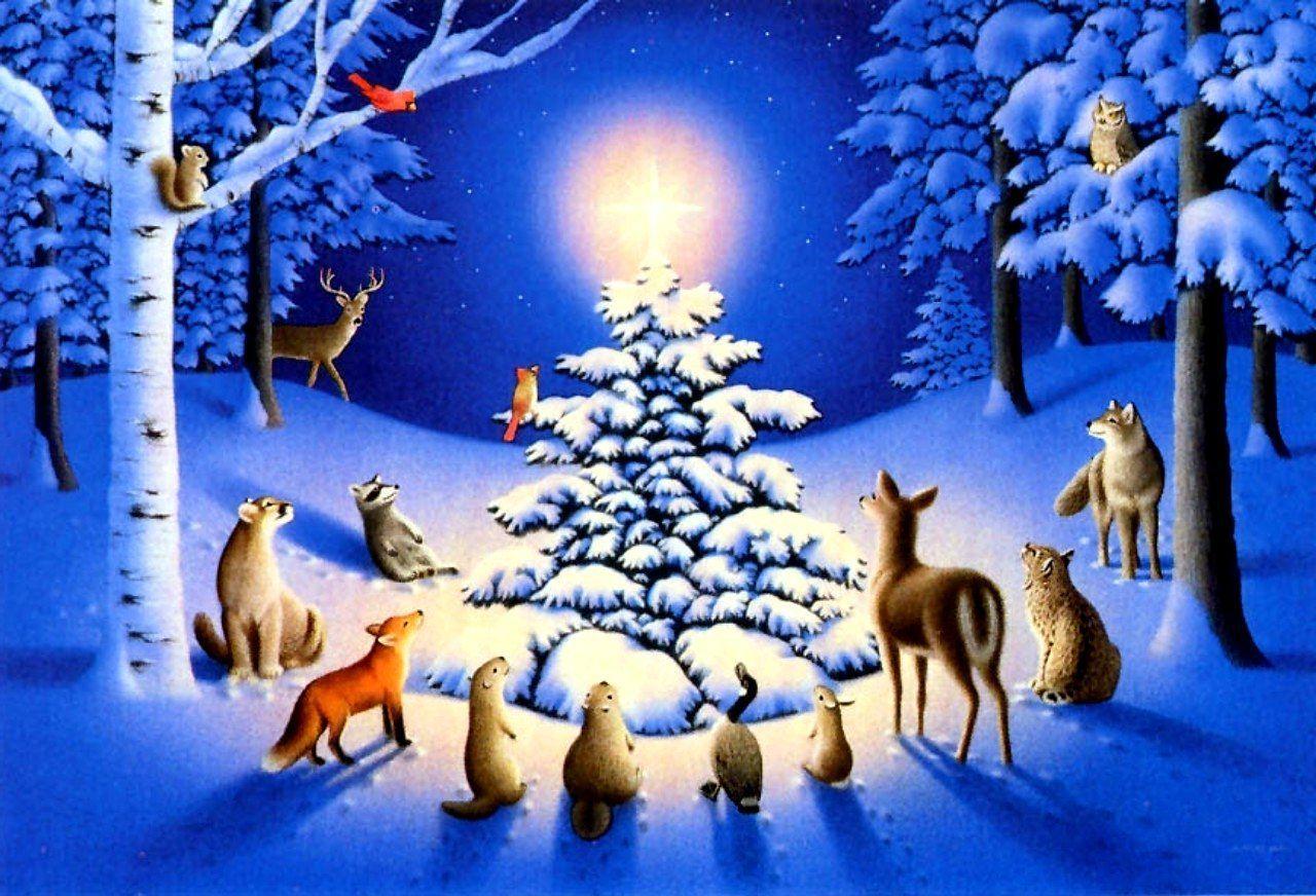 Christmas Nature Wallpapers - Top Free Christmas Nature Backgrounds ...