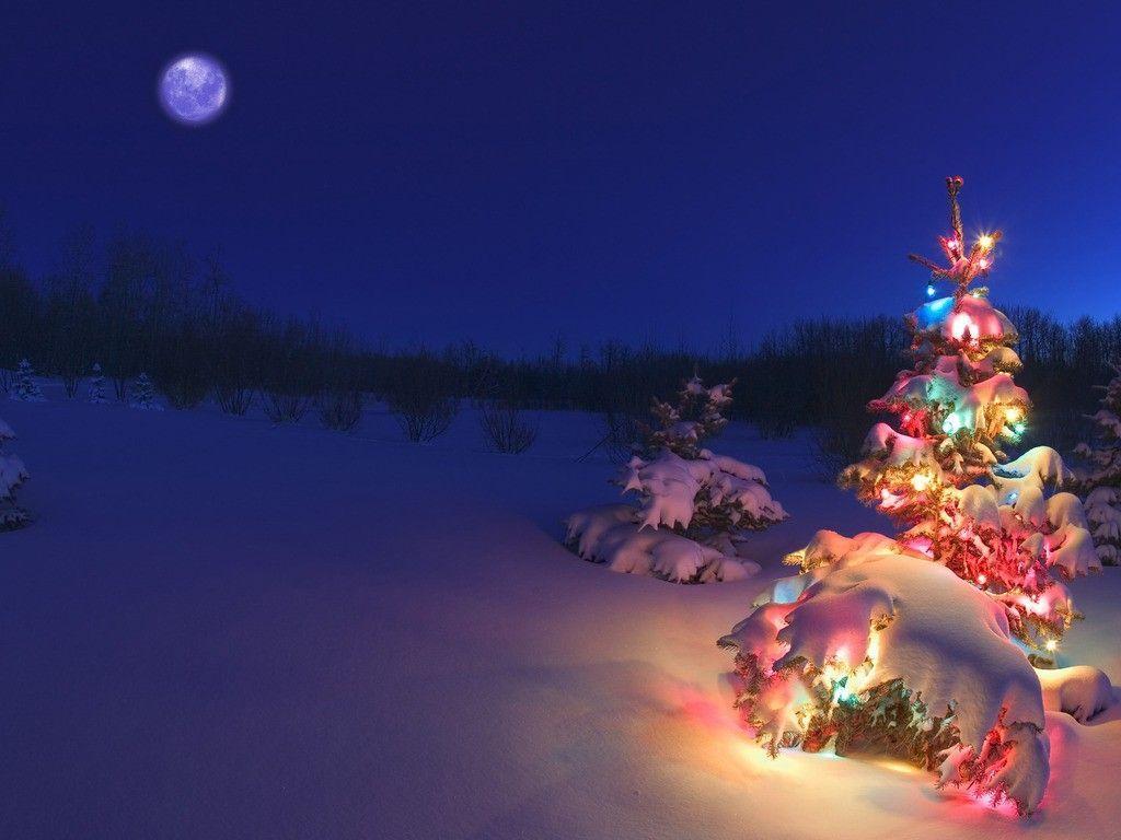 Christmas Nature Wallpapers - Top Free Christmas Nature Backgrounds ...