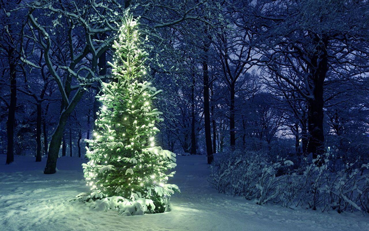 Christmas Fairy Wallpapers - Top Free Christmas Fairy Backgrounds ...