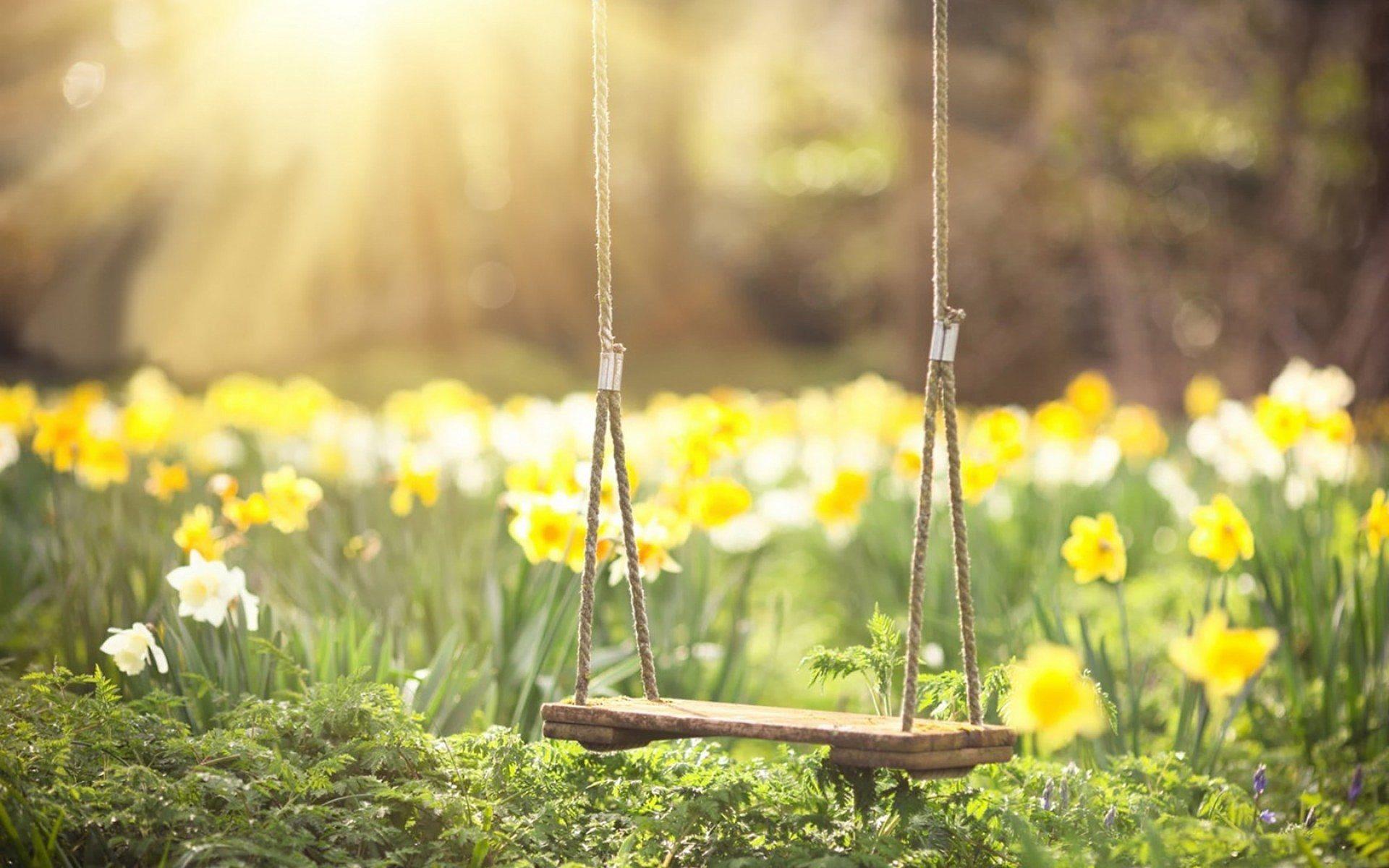 Swing Wallpapers - Top Free Swing Backgrounds - WallpaperAccess