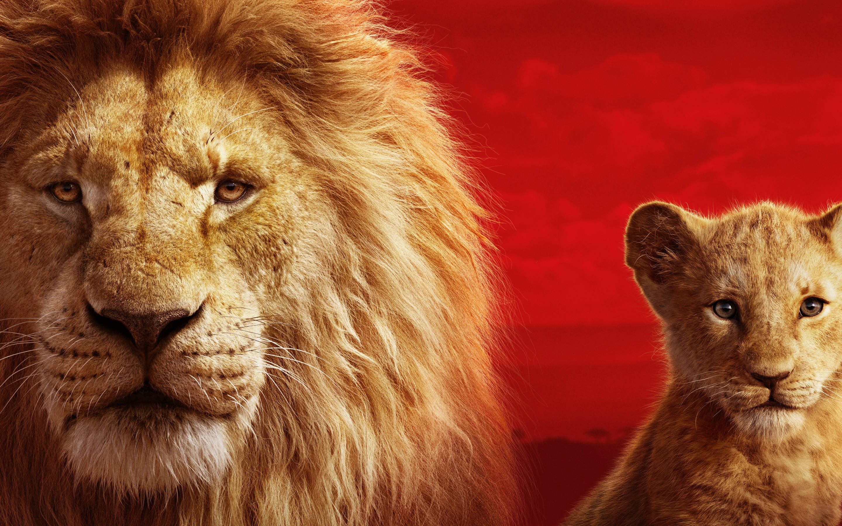 Mufasa Wallpapers - Top Free Mufasa Backgrounds - WallpaperAccess