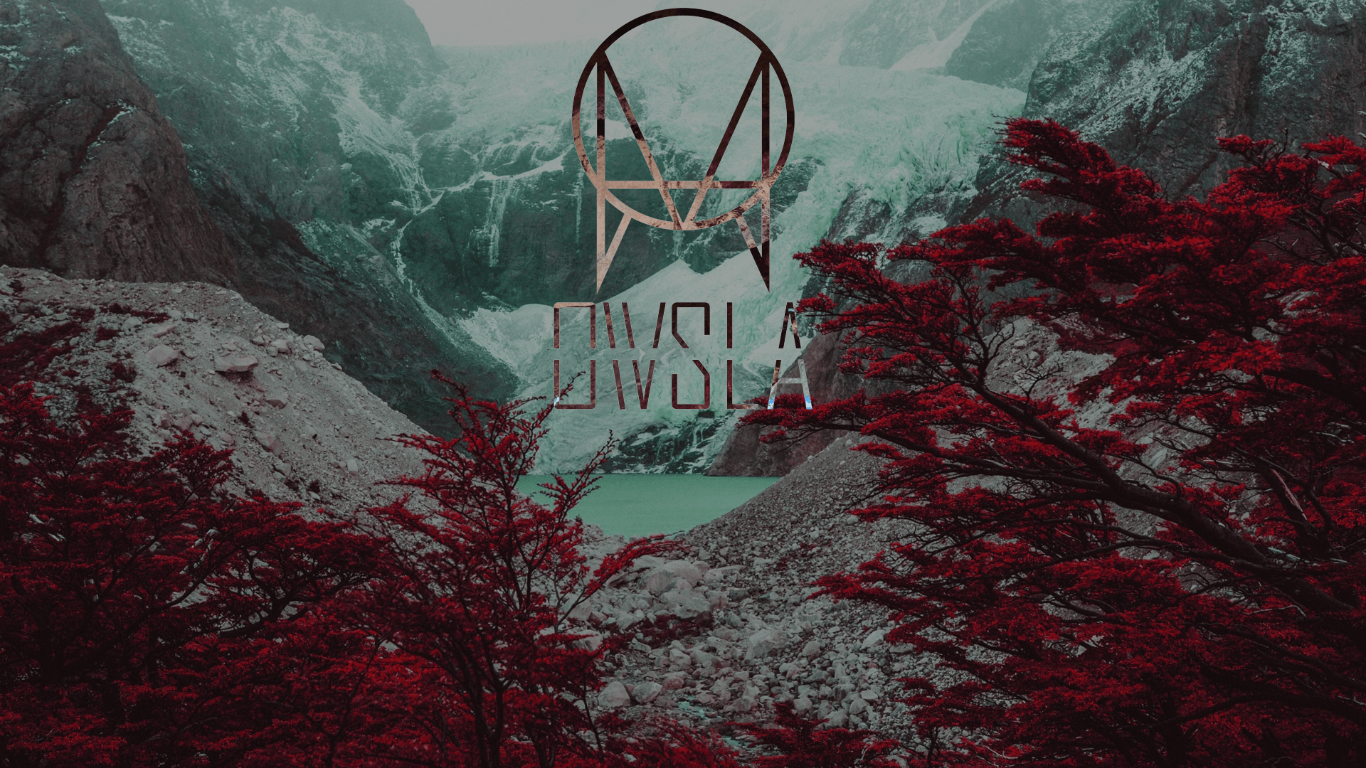 OWSLA Wallpapers - Top Free OWSLA Backgrounds - WallpaperAccess