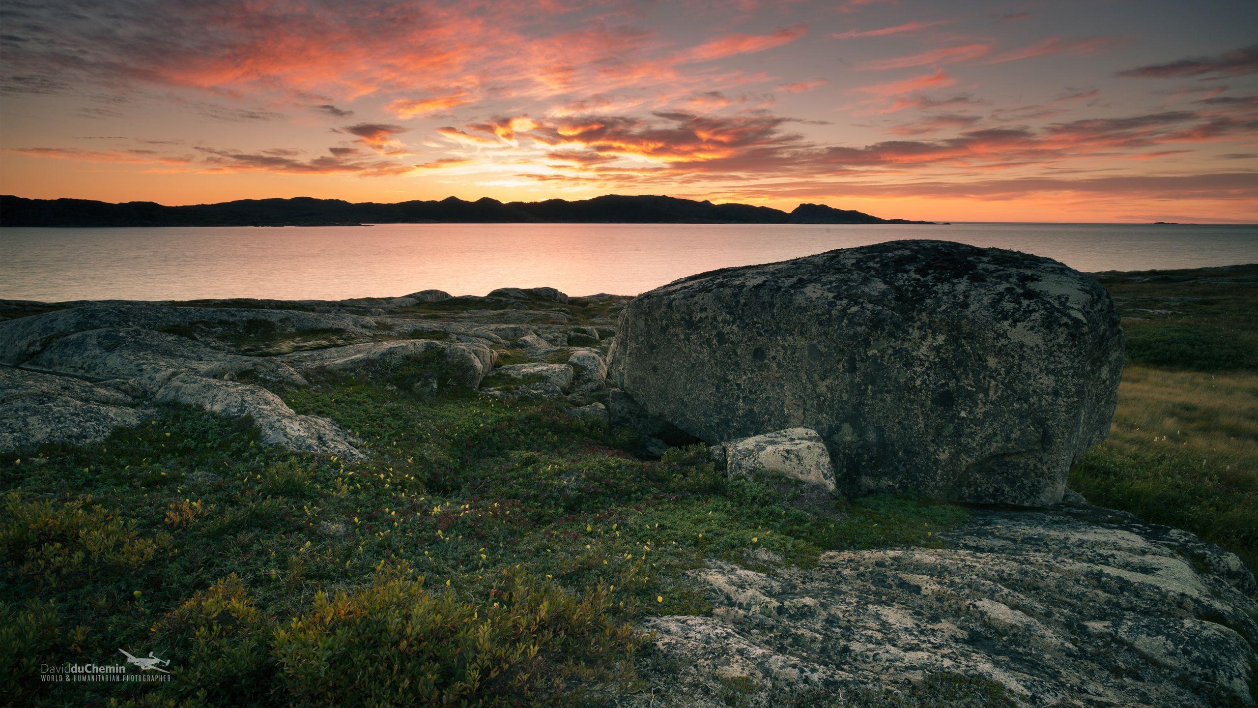 Newfoundland Wallpapers - Top Free Newfoundland Backgrounds ...