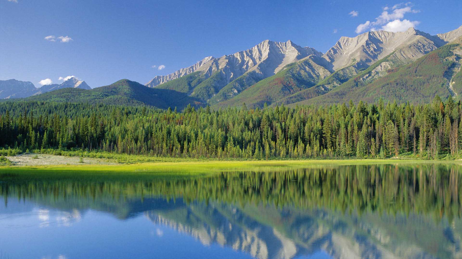 Newfoundland Wallpapers - Top Free Newfoundland Backgrounds ...