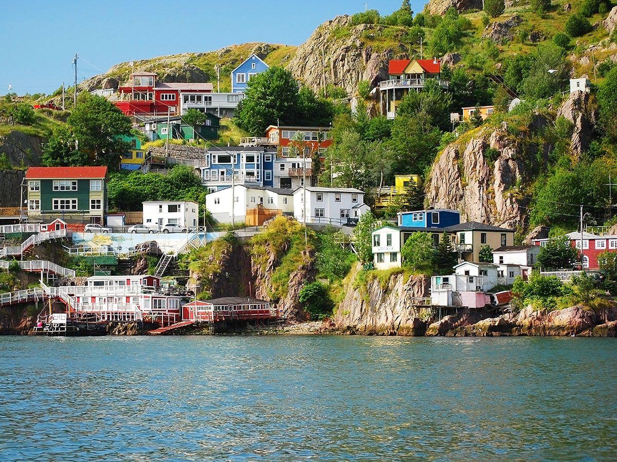 Newfoundland Wallpapers - Top Free Newfoundland Backgrounds ...