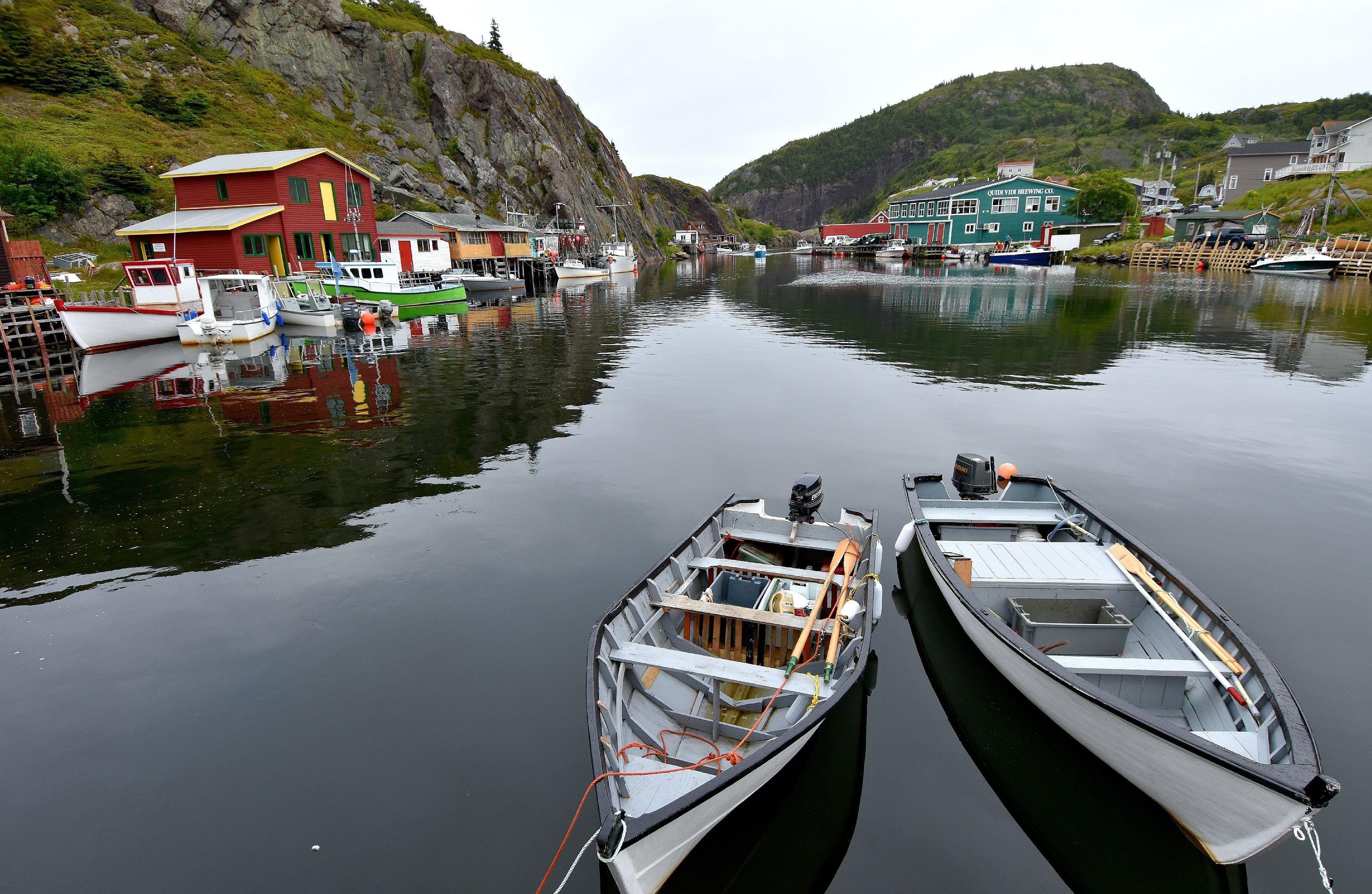Newfoundland Wallpapers - Top Free Newfoundland Backgrounds ...