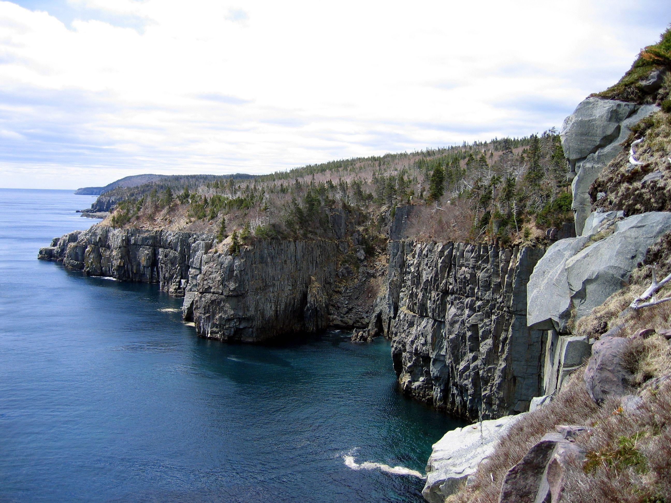 Newfoundland Wallpapers - Top Free Newfoundland Backgrounds ...