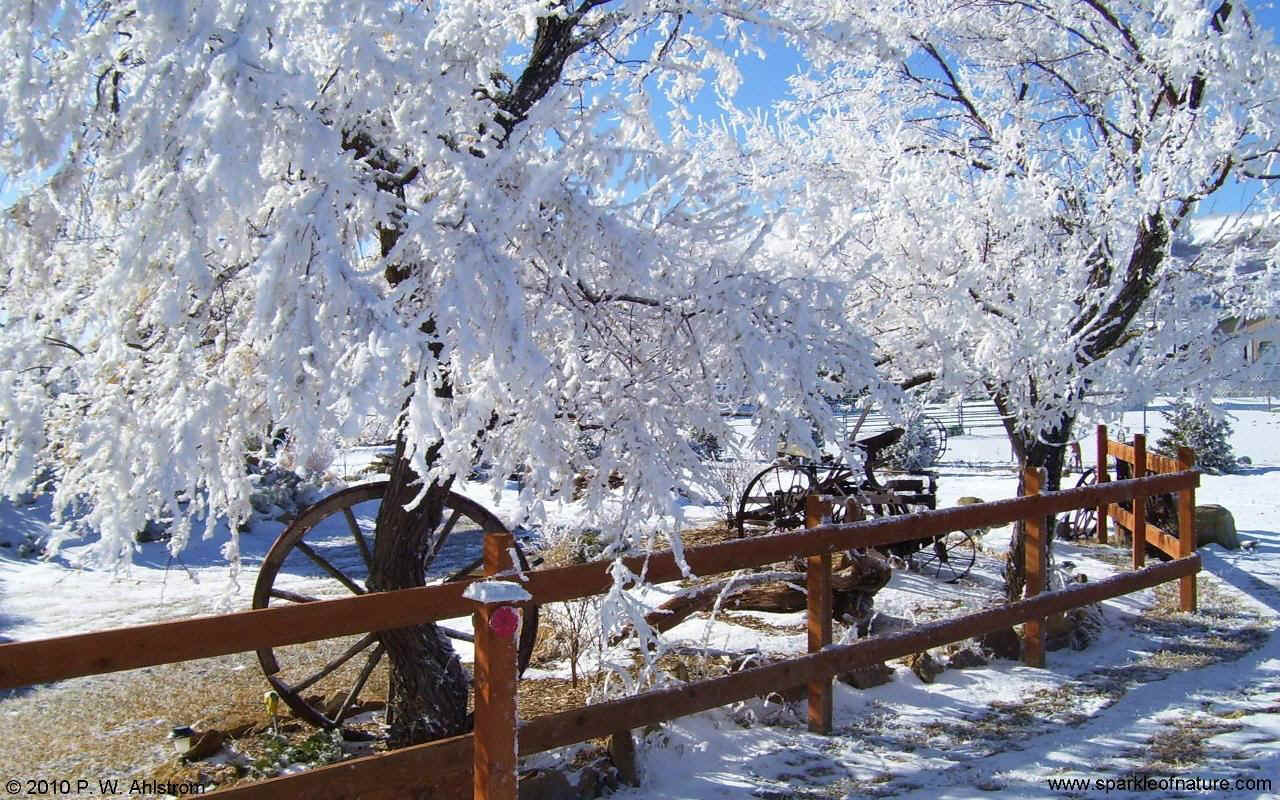 Seasonal Wallpapers - Top Free Seasonal Backgrounds - WallpaperAccess