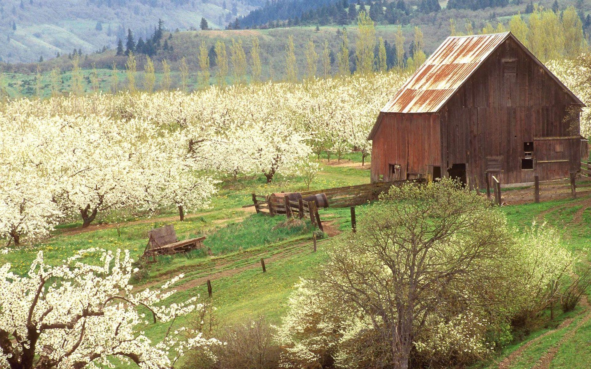 Farm House Wallpapers - Top Free Farm House Backgrounds - WallpaperAccess