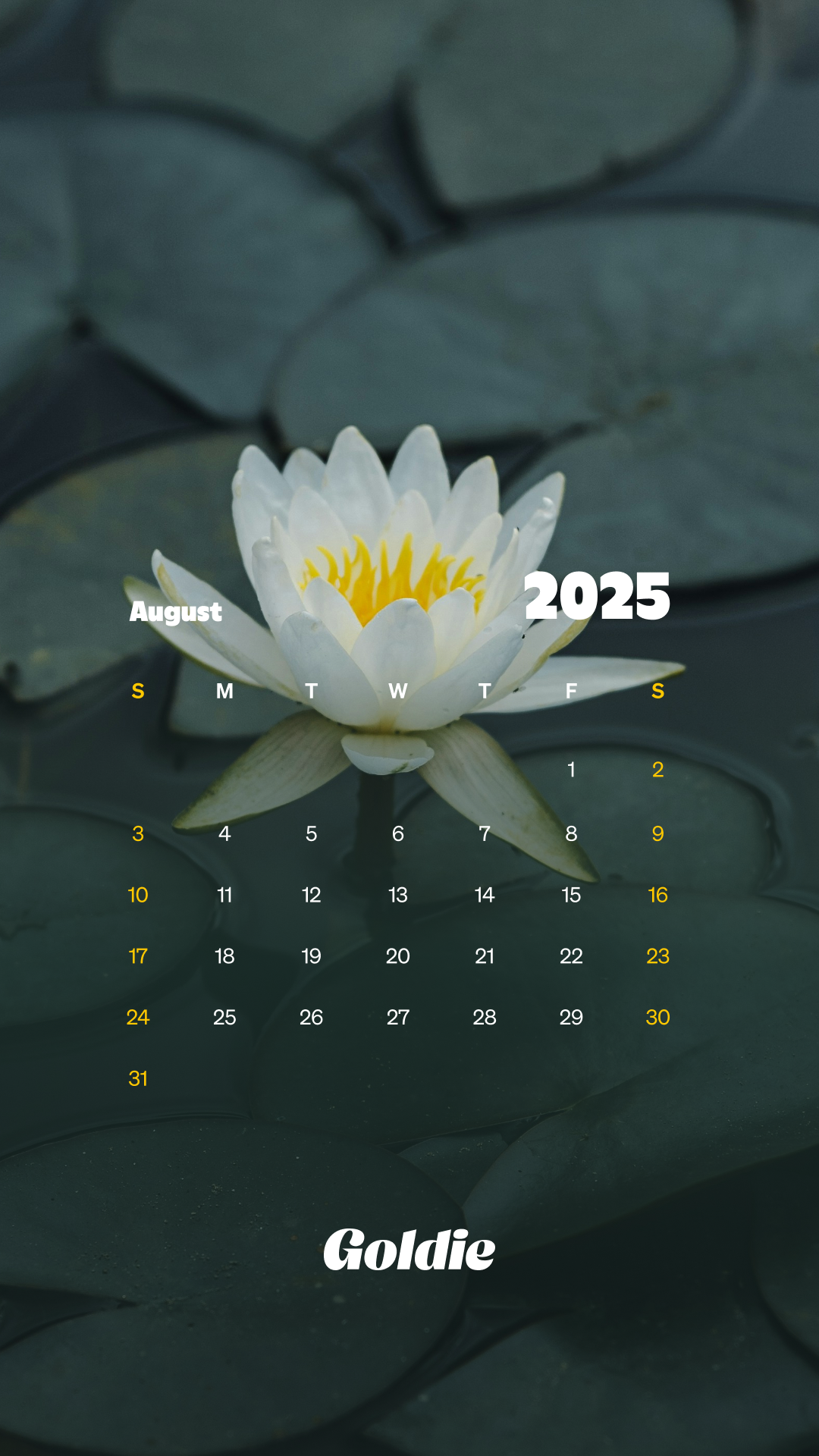 August 2025 Calendar Wallpapers - Top Free August 2025 Calendar ...