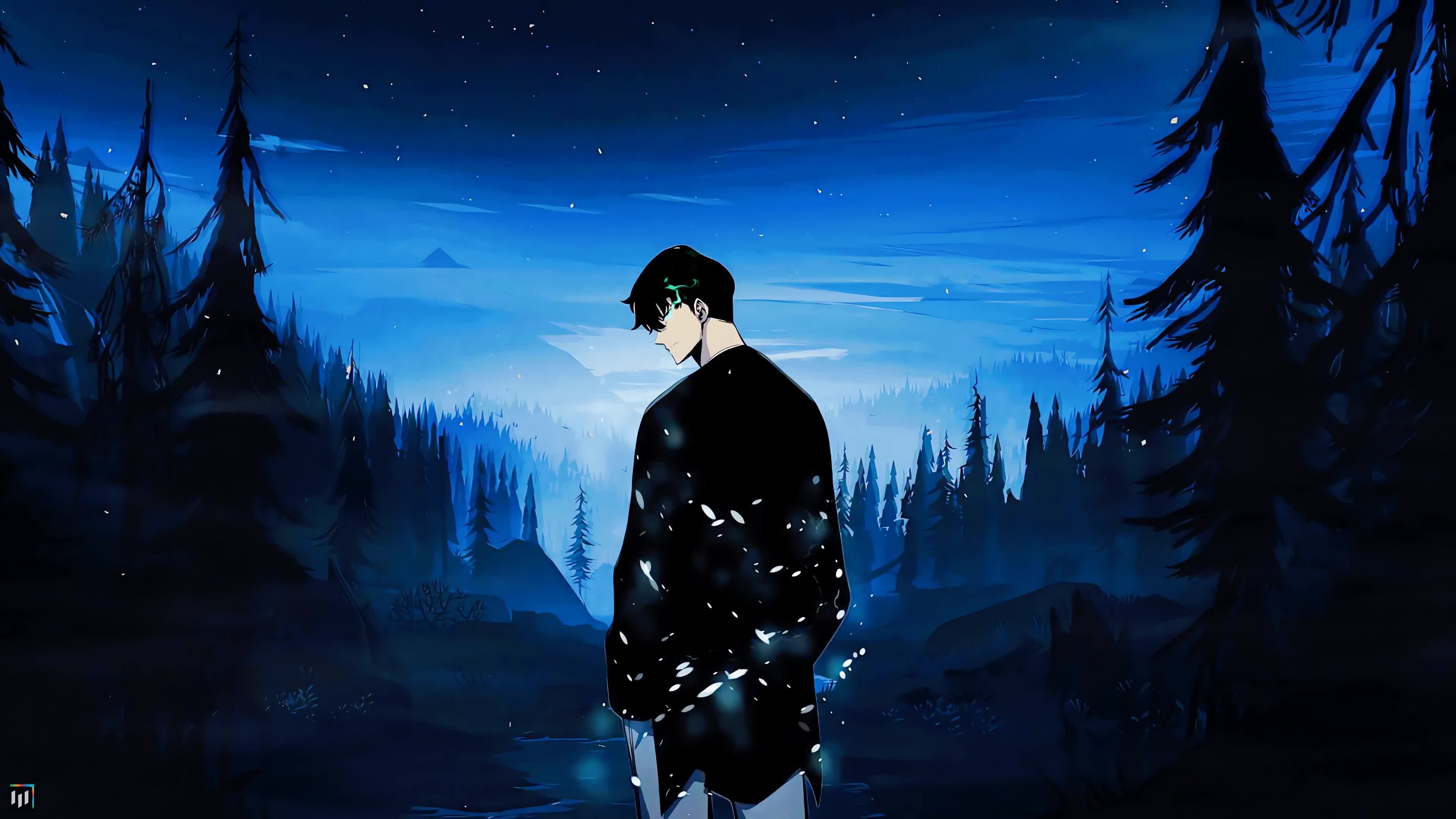 Sung Jin Woo 4k Wallpapers - Top Free Sung Jin Woo 4k Backgrounds ...