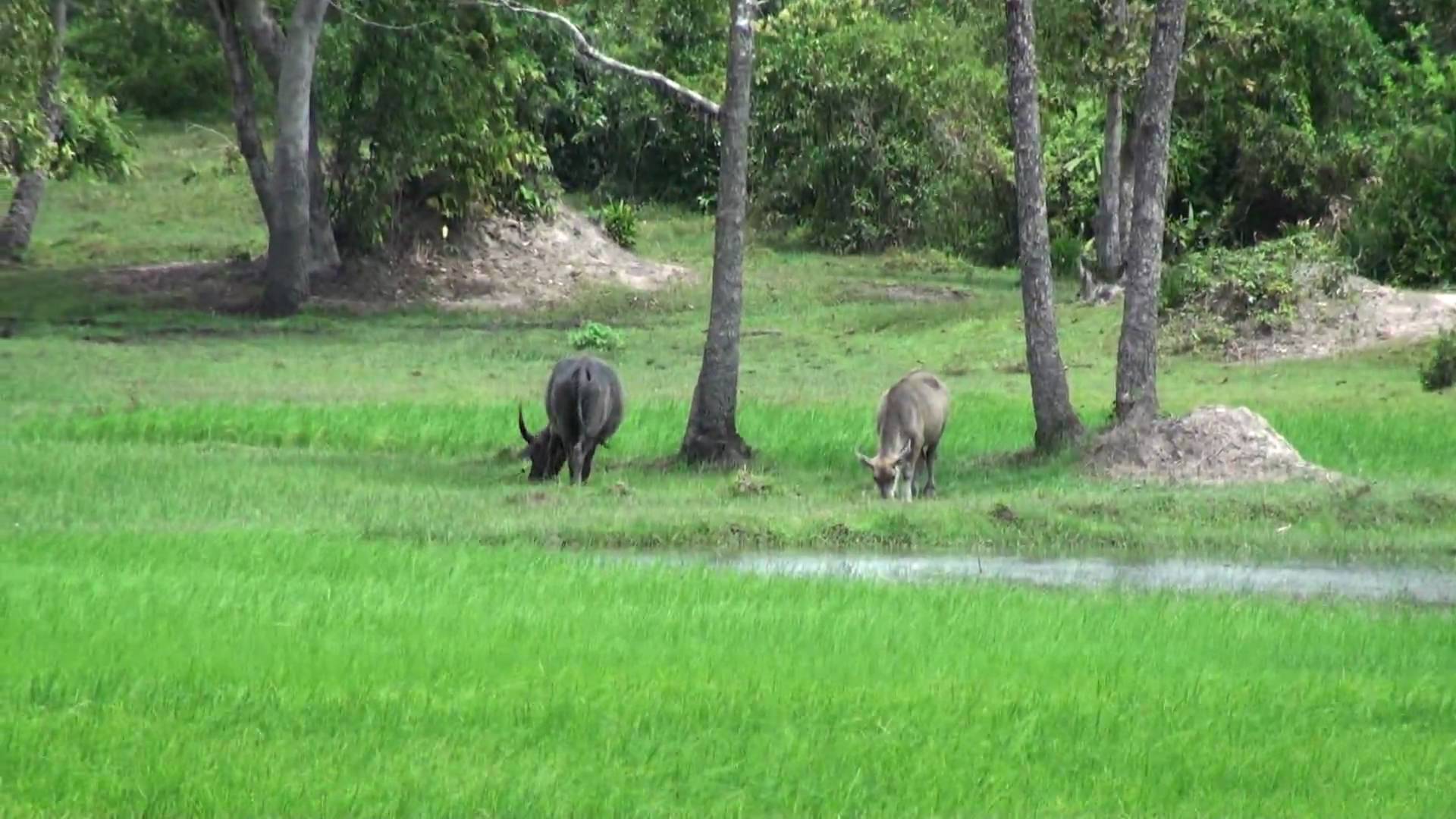 Khmer Countryside Wallpapers - Top Free Khmer Countryside Backgrounds ...