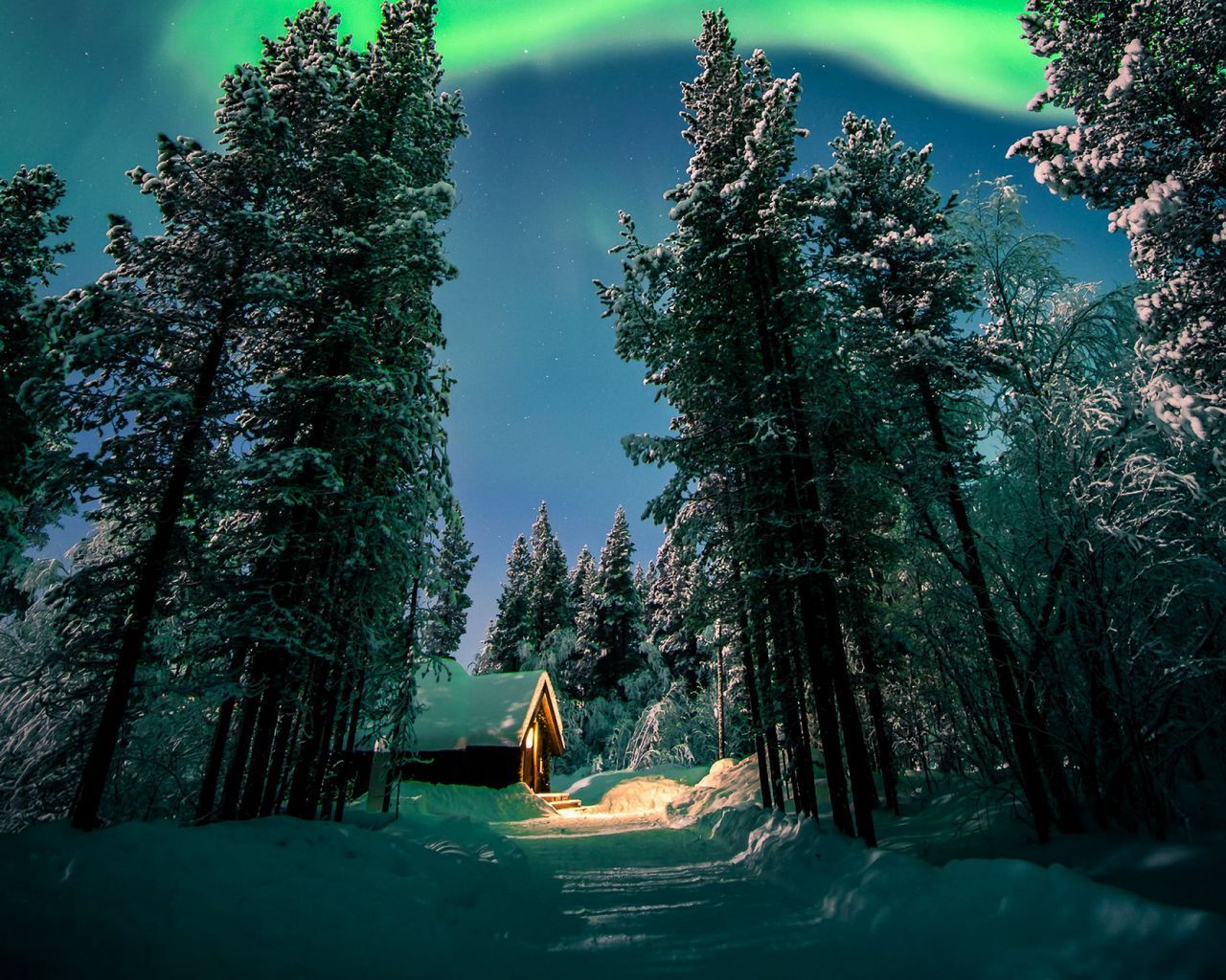 Aurora Forest Wallpapers - Top Free Aurora Forest Backgrounds ...