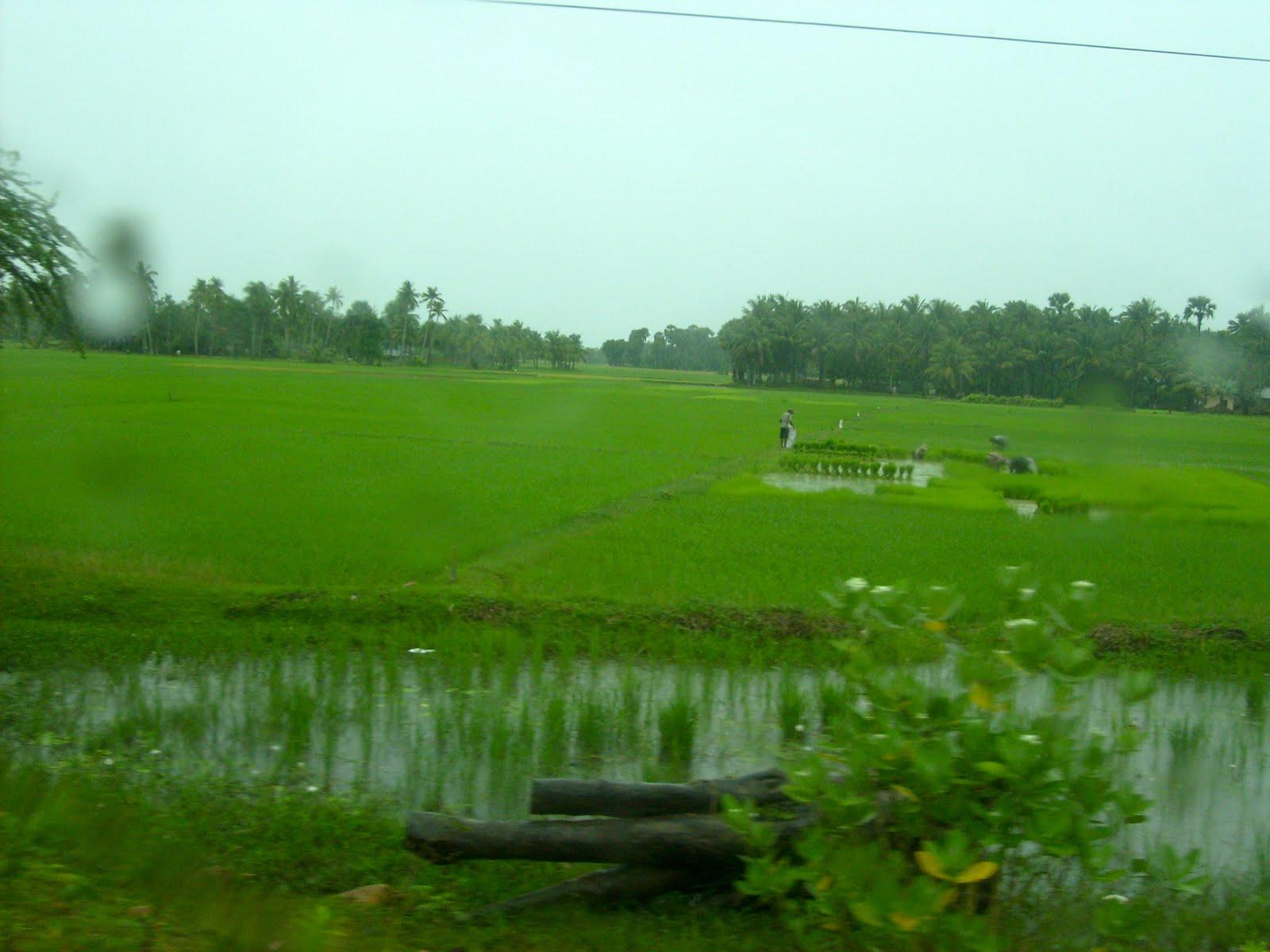 Khmer Countryside Wallpapers - Top Free Khmer Countryside Backgrounds ...