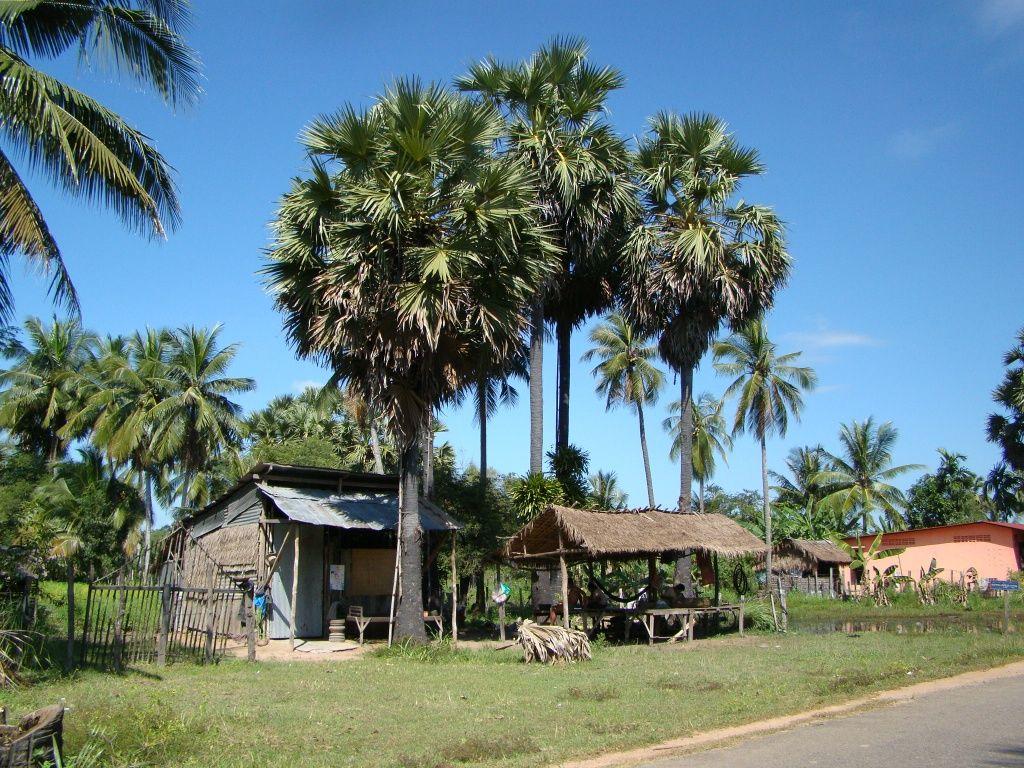 Khmer Countryside Wallpapers - Top Free Khmer Countryside Backgrounds ...