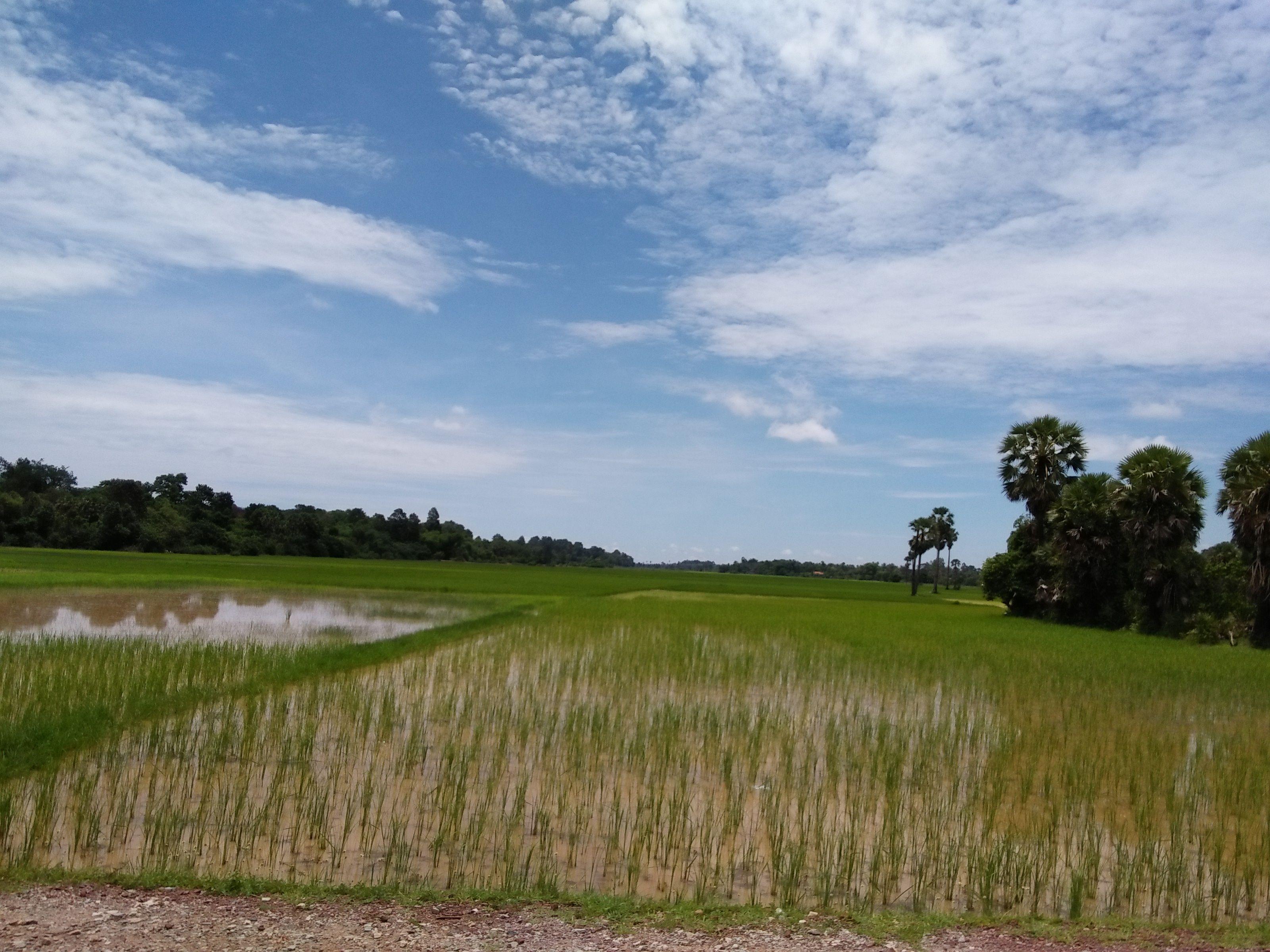 Khmer Countryside Wallpapers - Top Free Khmer Countryside Backgrounds ...