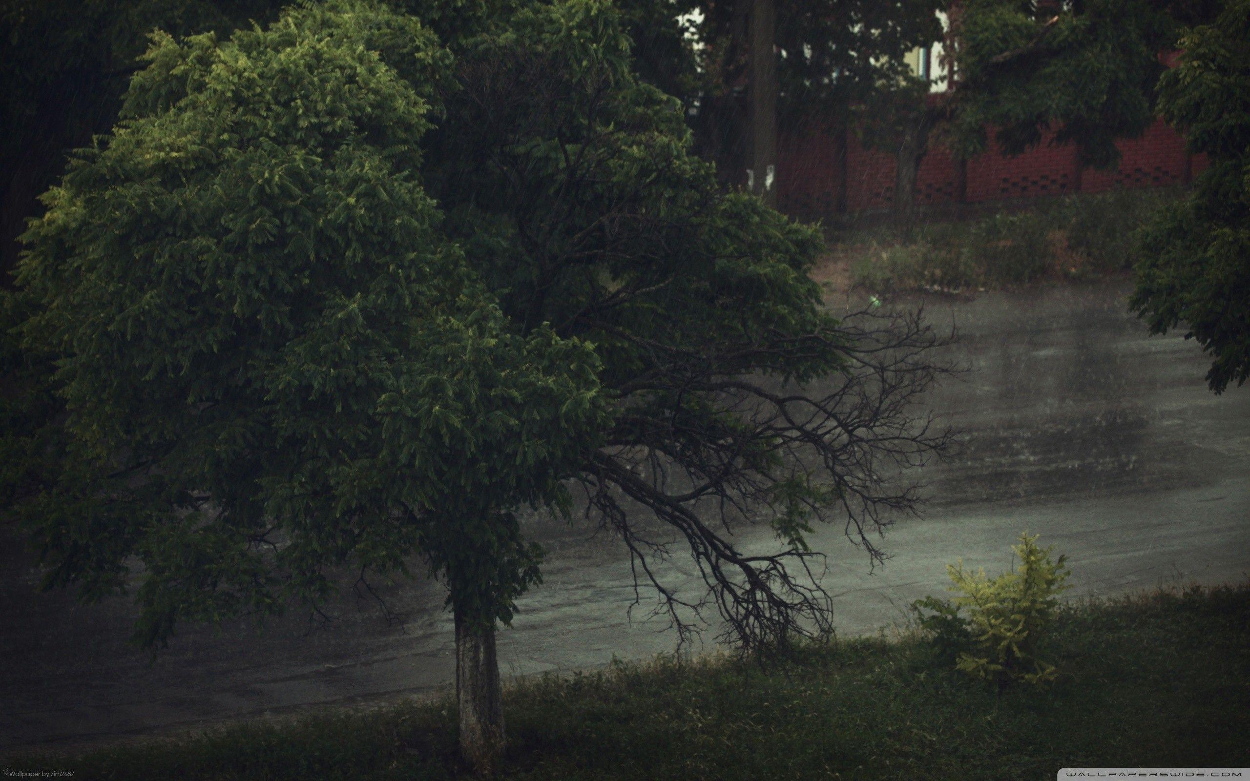 Rain Landscape Wallpapers - Top Free Rain Landscape Backgrounds ...