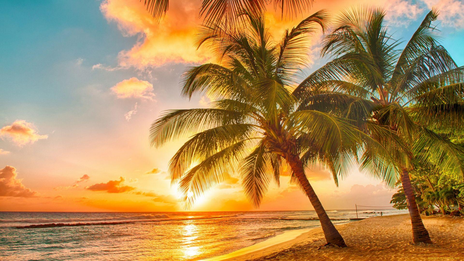 Caribbean Wallpapers - Top Free Caribbean Backgrounds - WallpaperAccess