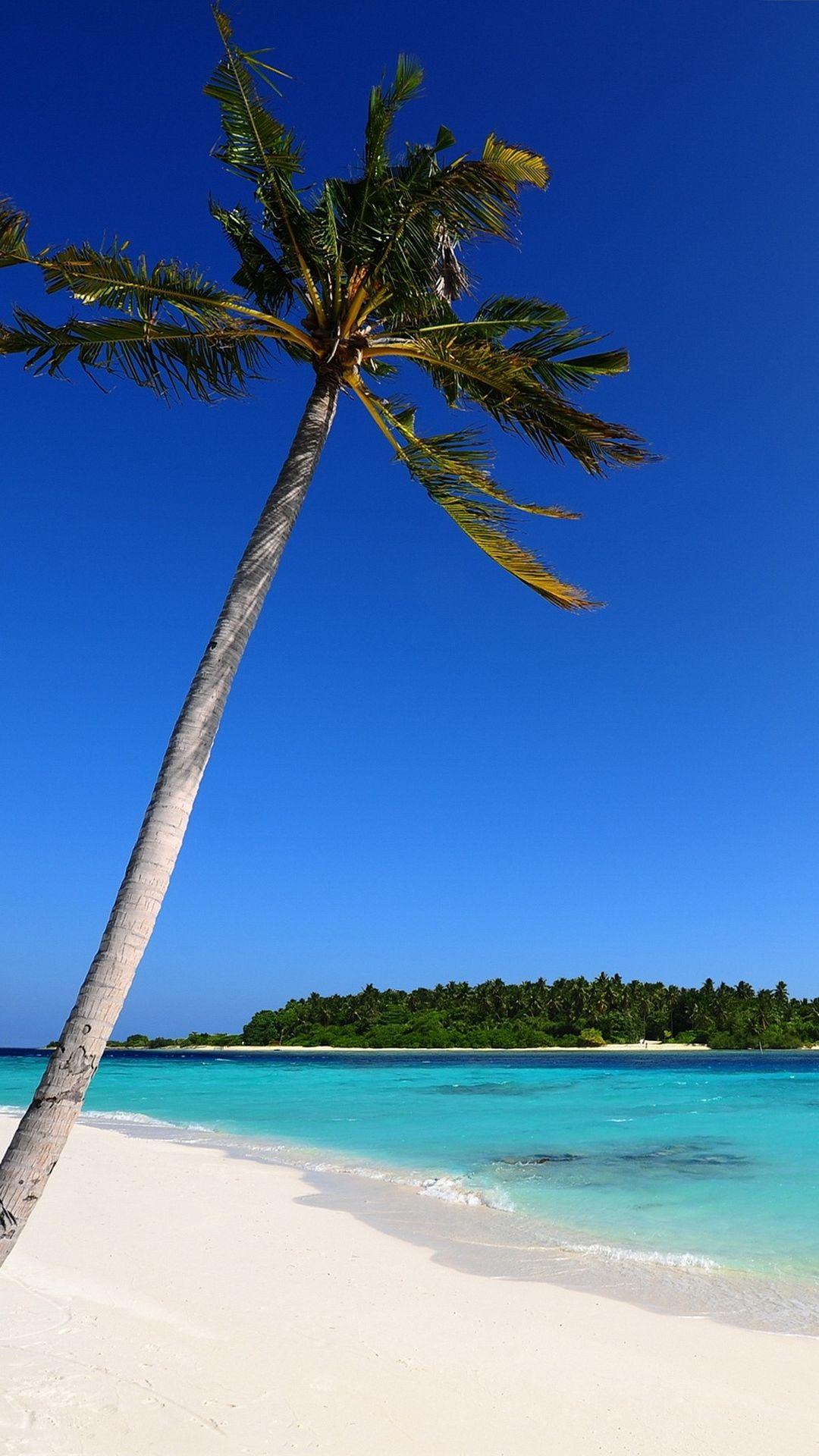 Caribbean Wallpapers - Top Free Caribbean Backgrounds - WallpaperAccess