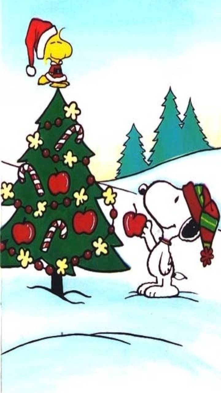 Snoopy Christmas Wallpapers - Top Free Snoopy Christmas Backgrounds ...