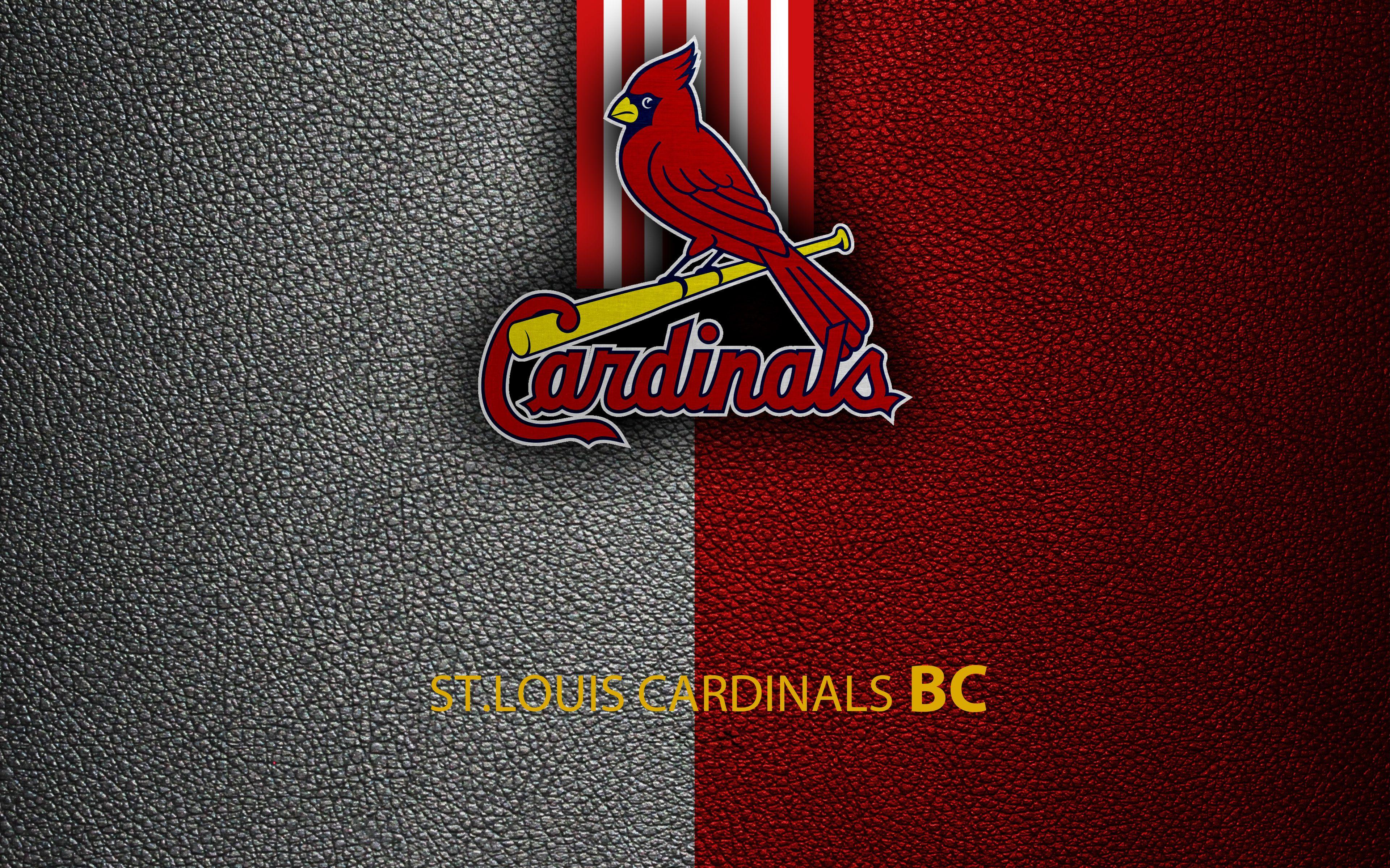 Cardinals Wallpapers - Top Free Cardinals Backgrounds - WallpaperAccess