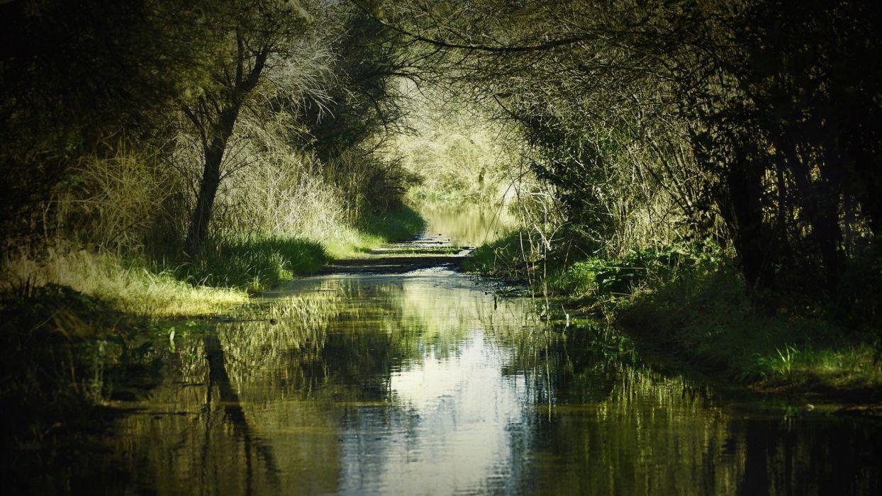 Swamp Wallpapers - Top Free Swamp Backgrounds - WallpaperAccess