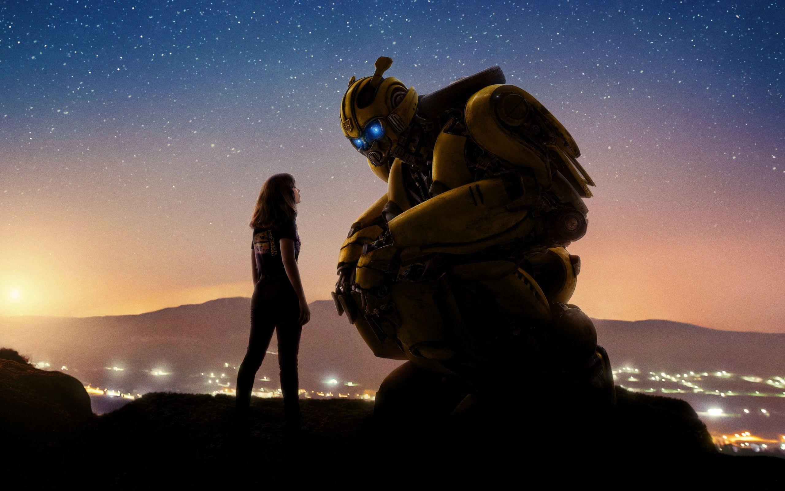 Bumblebee Wallpapers - Top Free Bumblebee Backgrounds - WallpaperAccess