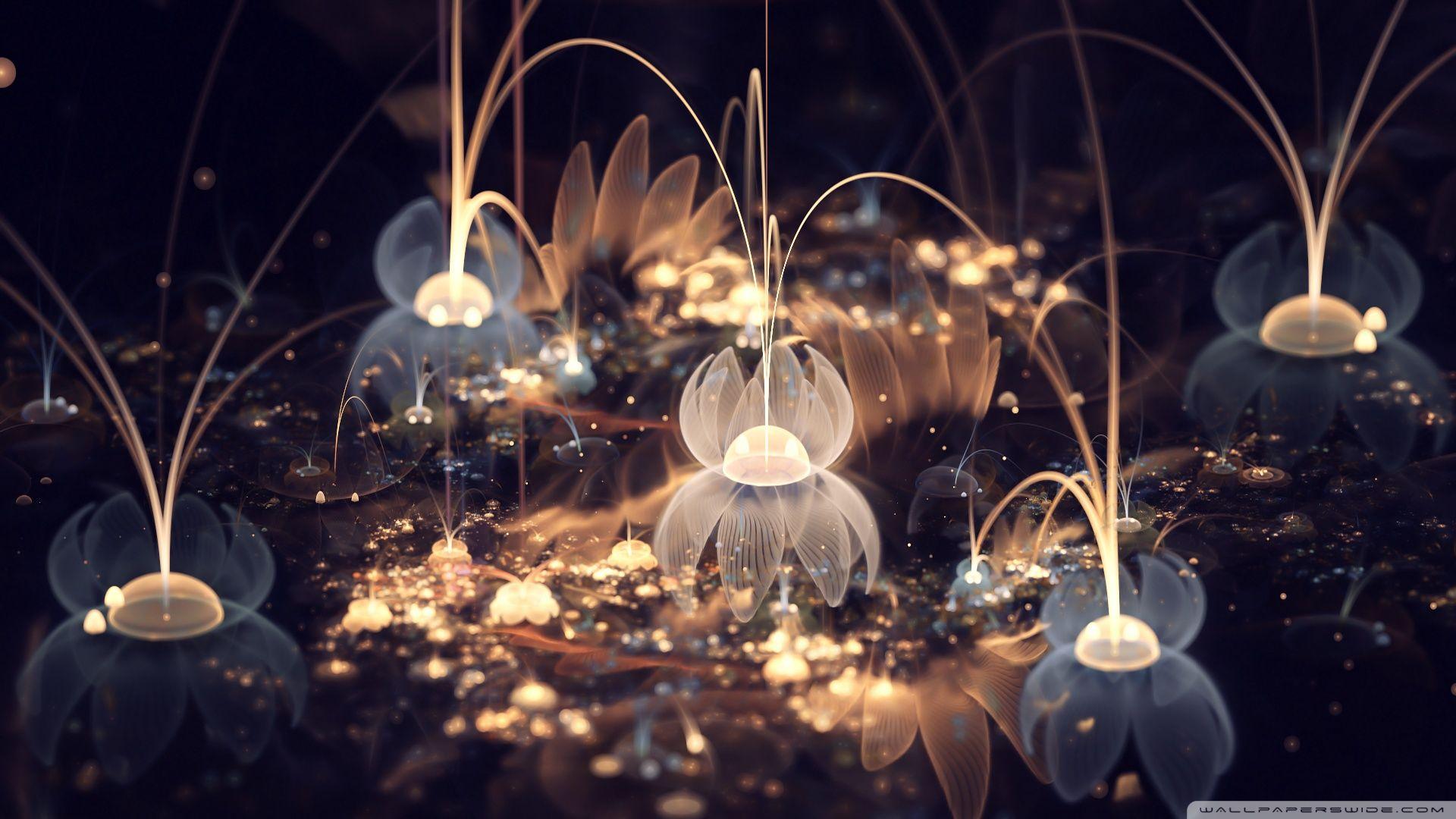 Miracle Wallpapers - Top Free Miracle Backgrounds - WallpaperAccess