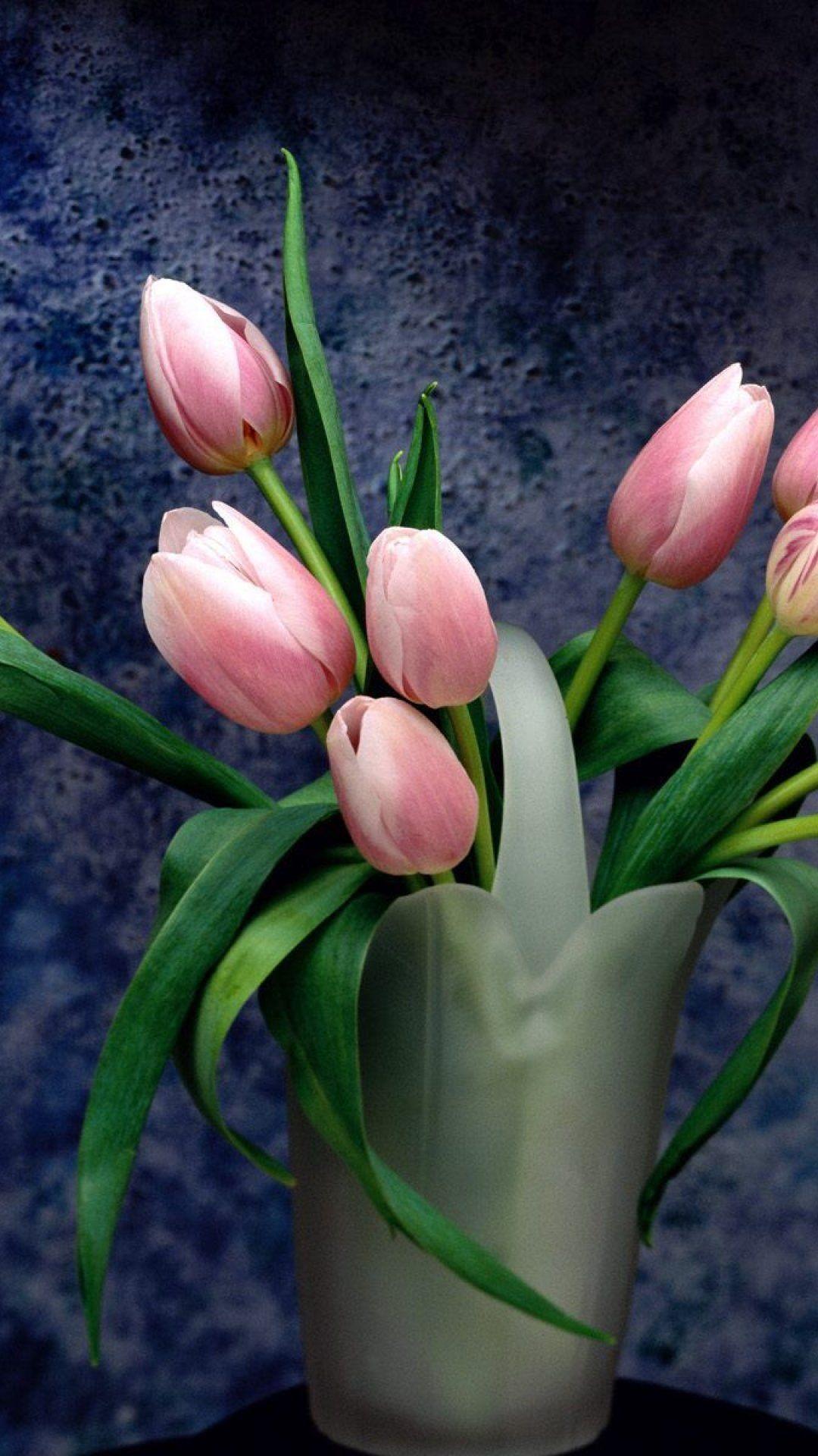 Pushers Wallpapers - Top Free Pushers Backgrounds - WallpaperAccess