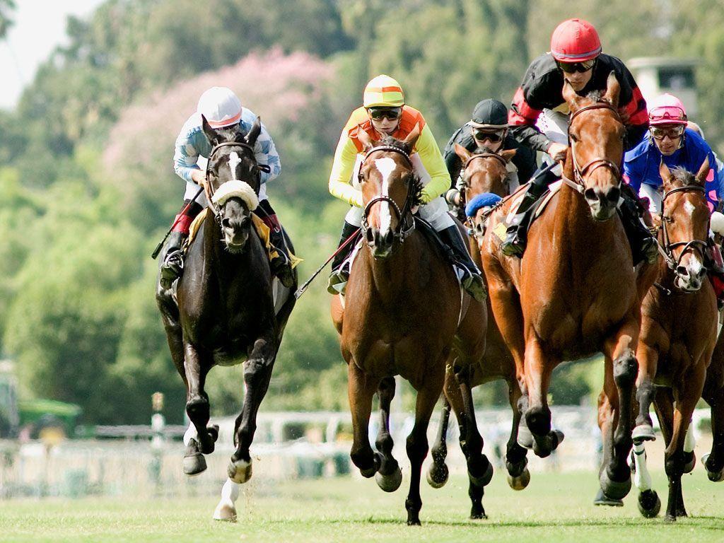 Horse Racing Wallpapers - Top Free Horse Racing Backgrounds ...