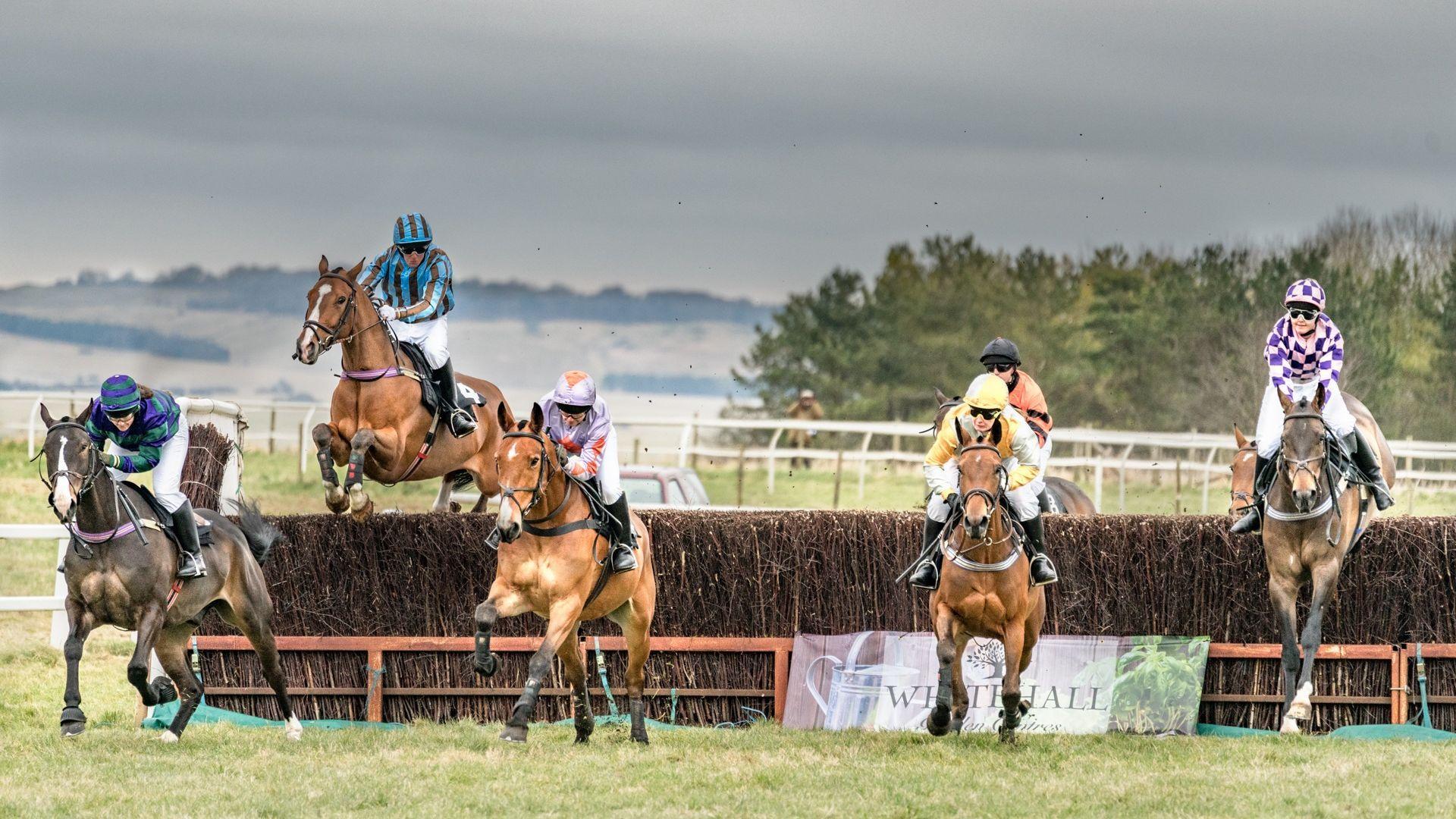 Horse Racing Wallpapers - Top Free Horse Racing Backgrounds ...