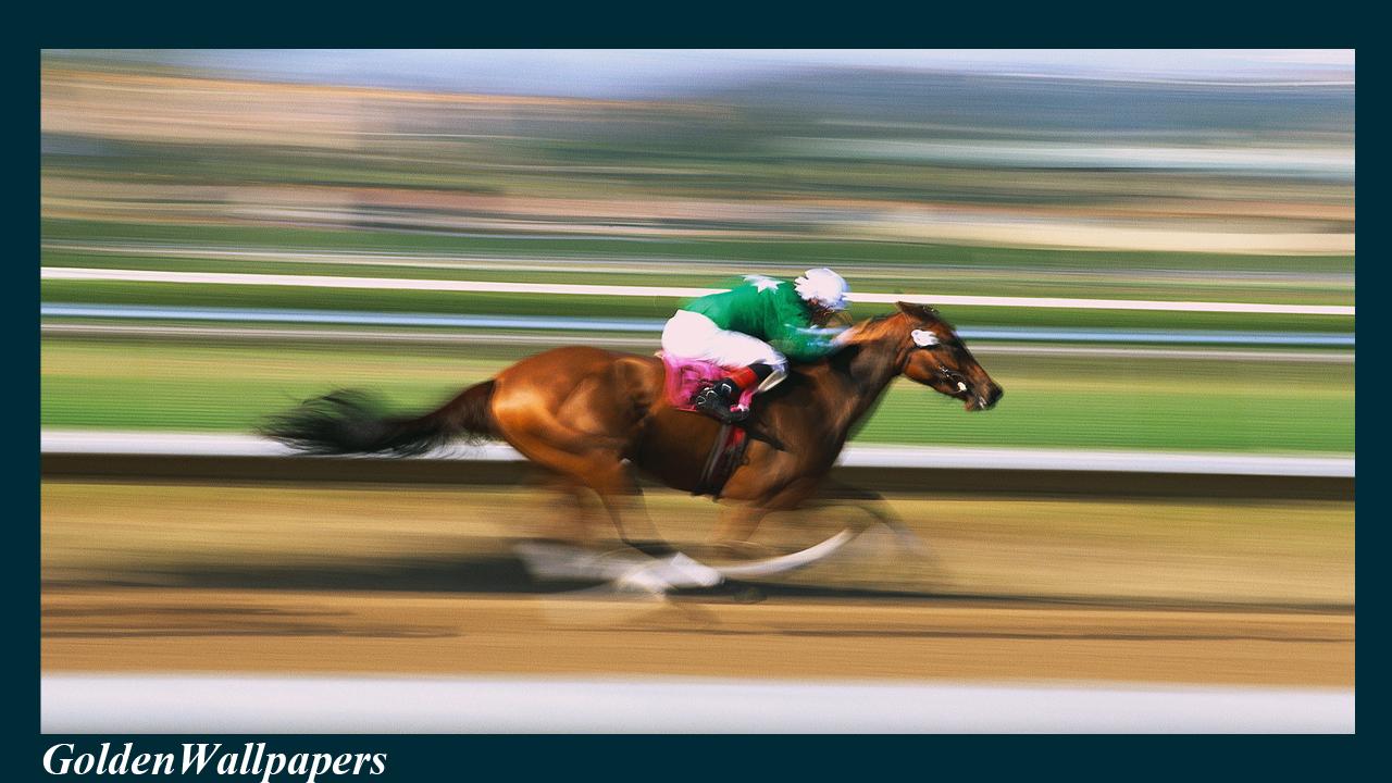 Horse Racing Wallpapers - Top Free Horse Racing Backgrounds ...