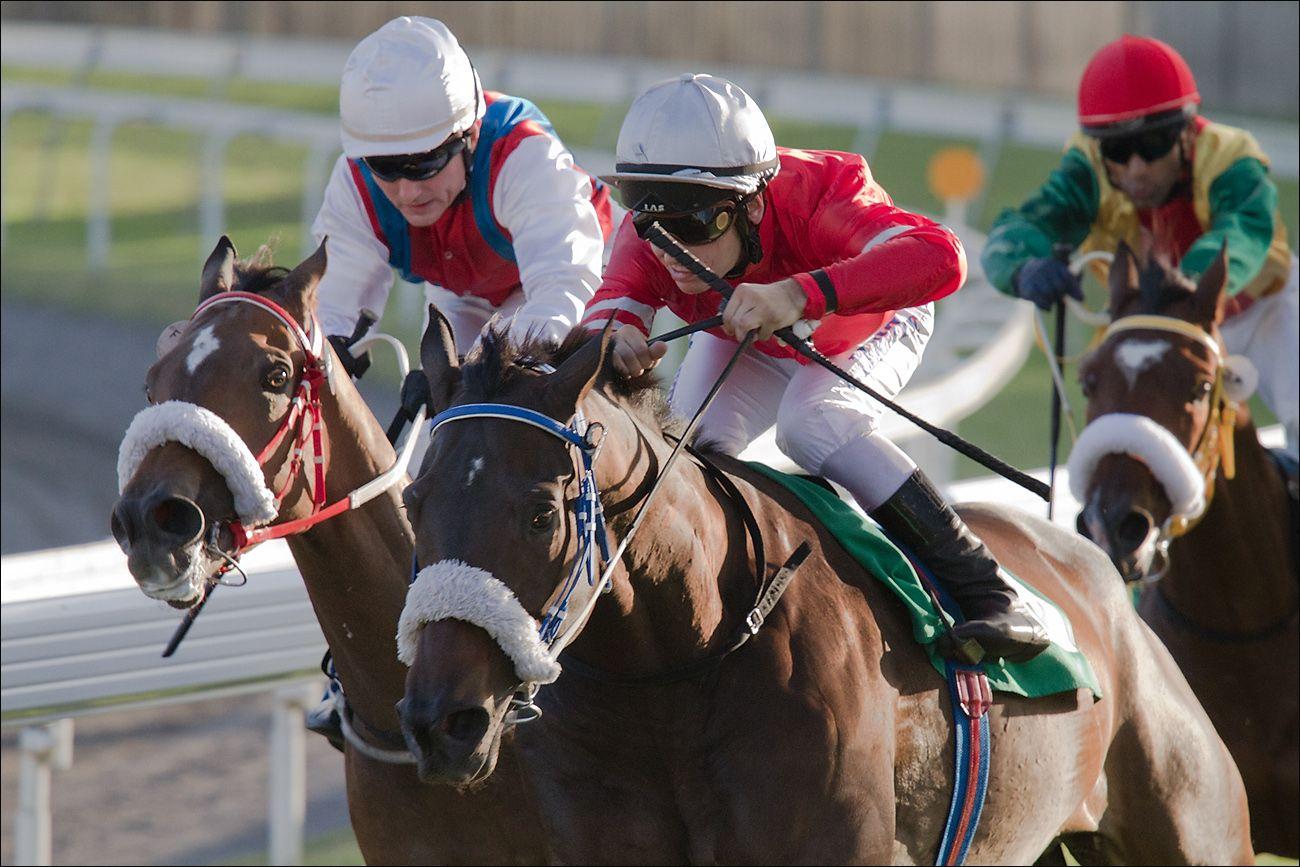 Horse Racing Wallpapers - Top Free Horse Racing Backgrounds ...