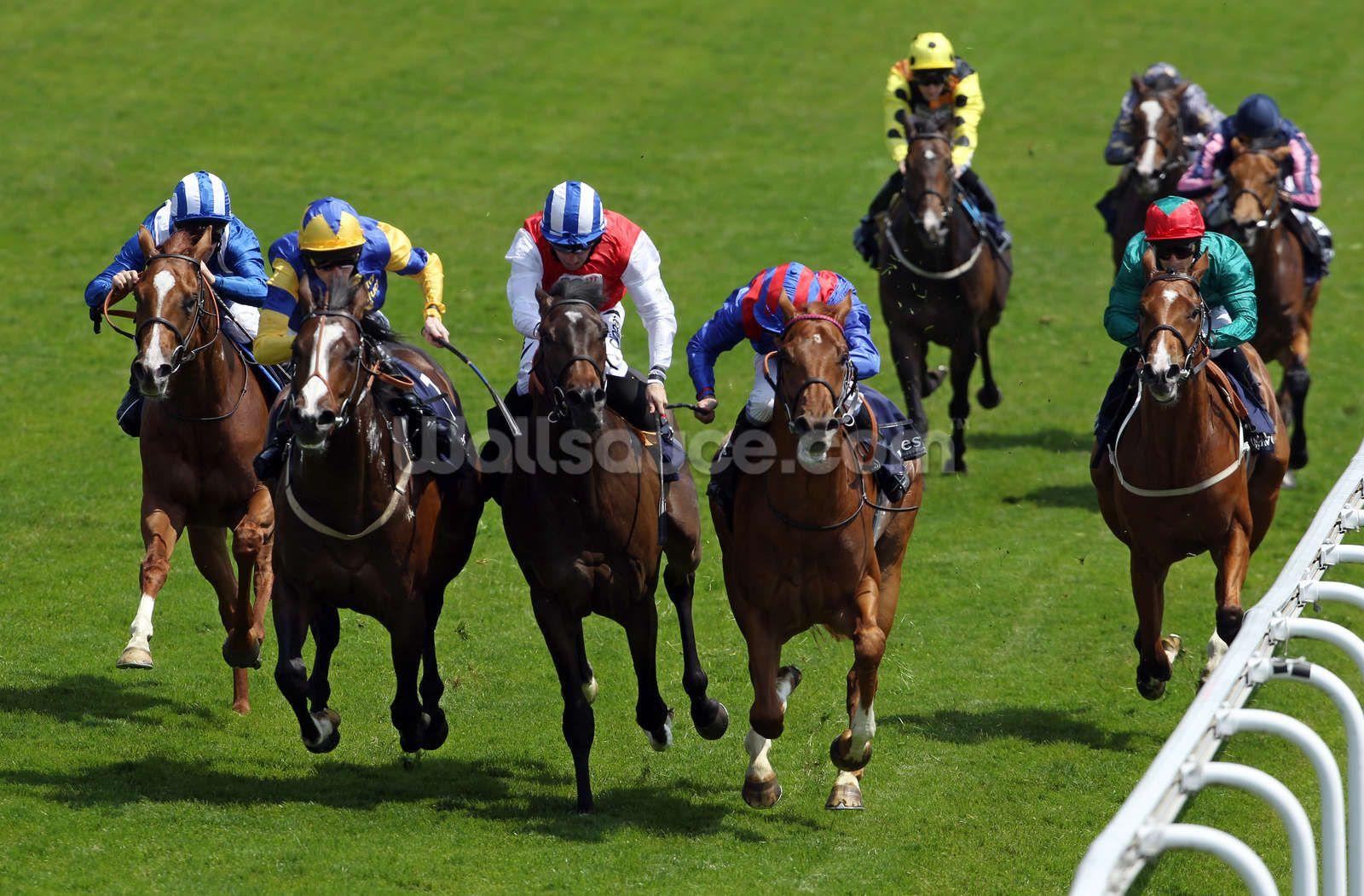 Horse Racing Wallpapers - Top Free Horse Racing Backgrounds ...