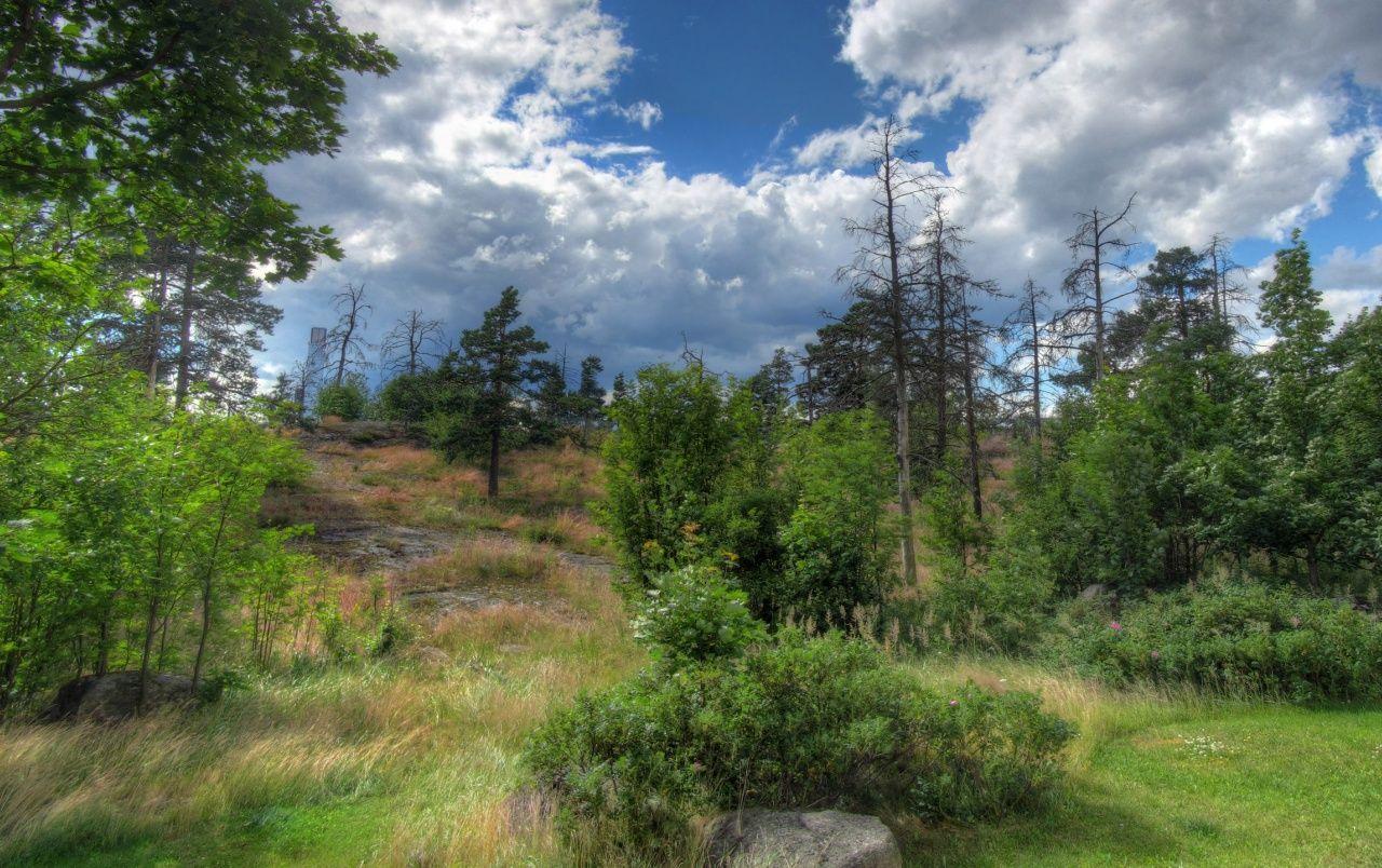 Afternoon Wallpapers - Top Free Afternoon Backgrounds - WallpaperAccess