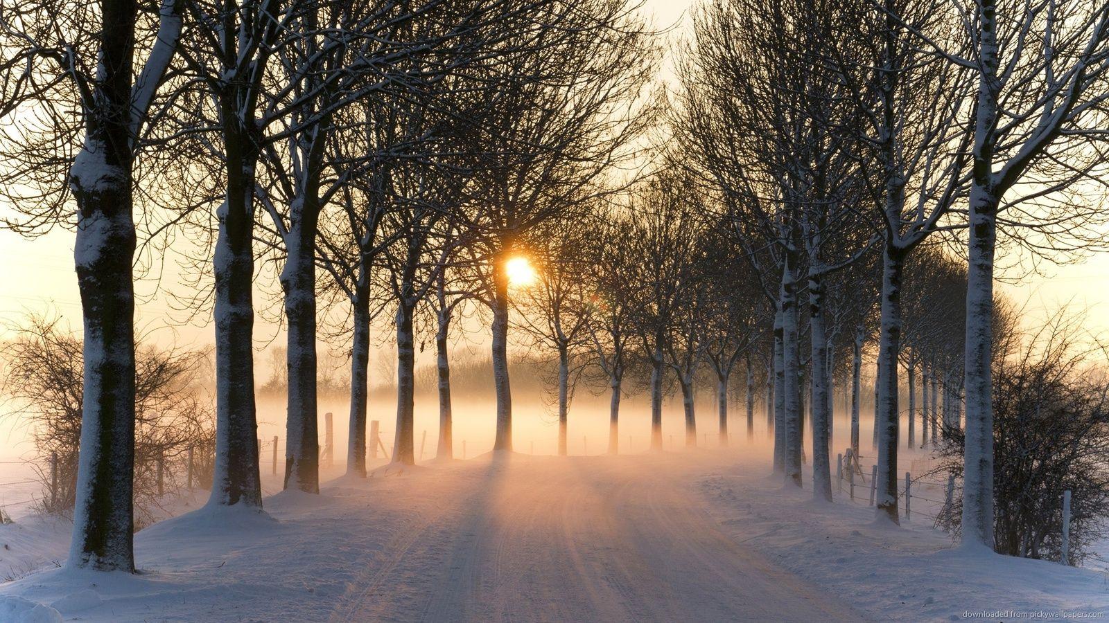 Afternoon Wallpapers - Top Free Afternoon Backgrounds - WallpaperAccess