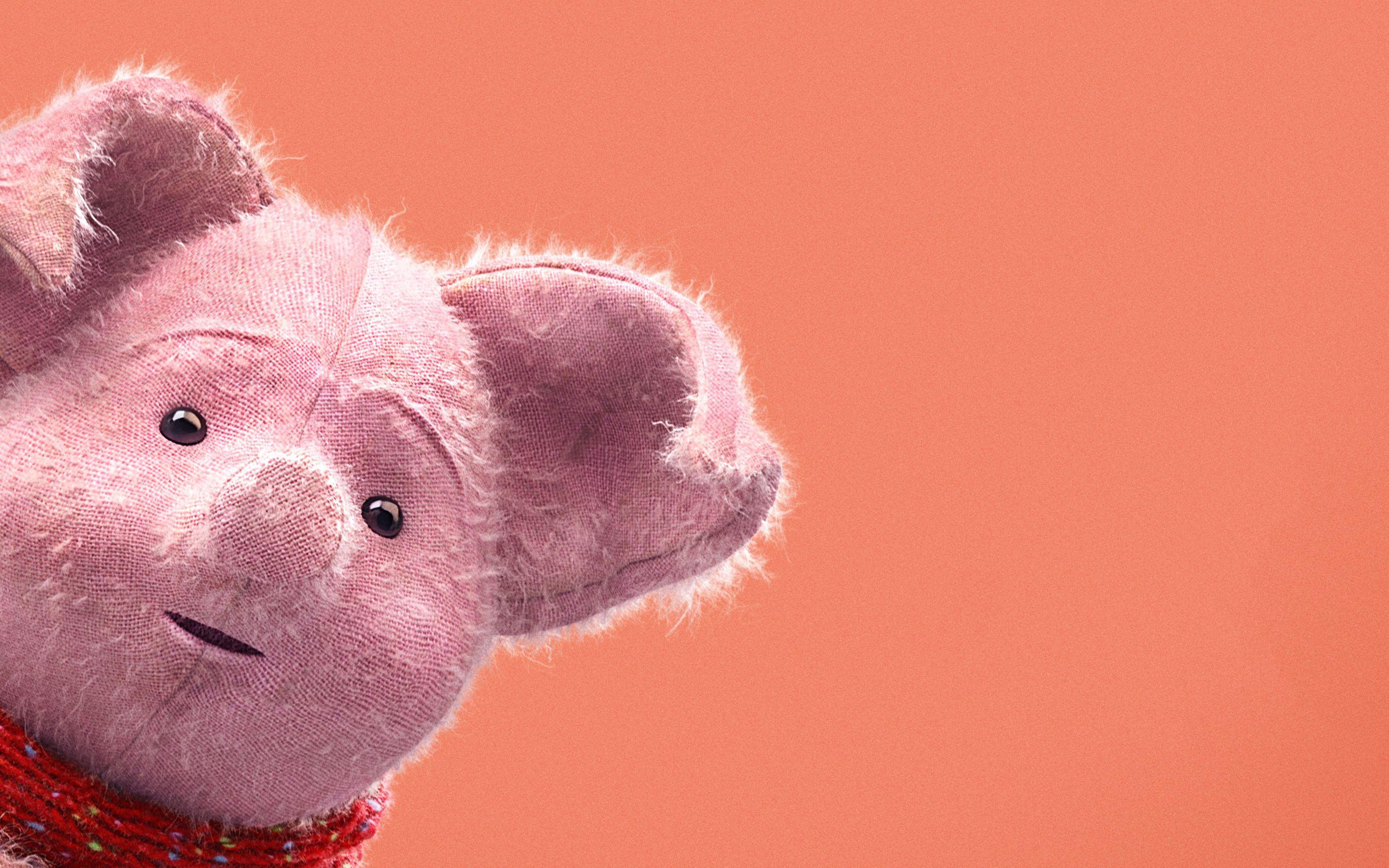 Piglet Wallpapers - Top Free Piglet Backgrounds - WallpaperAccess