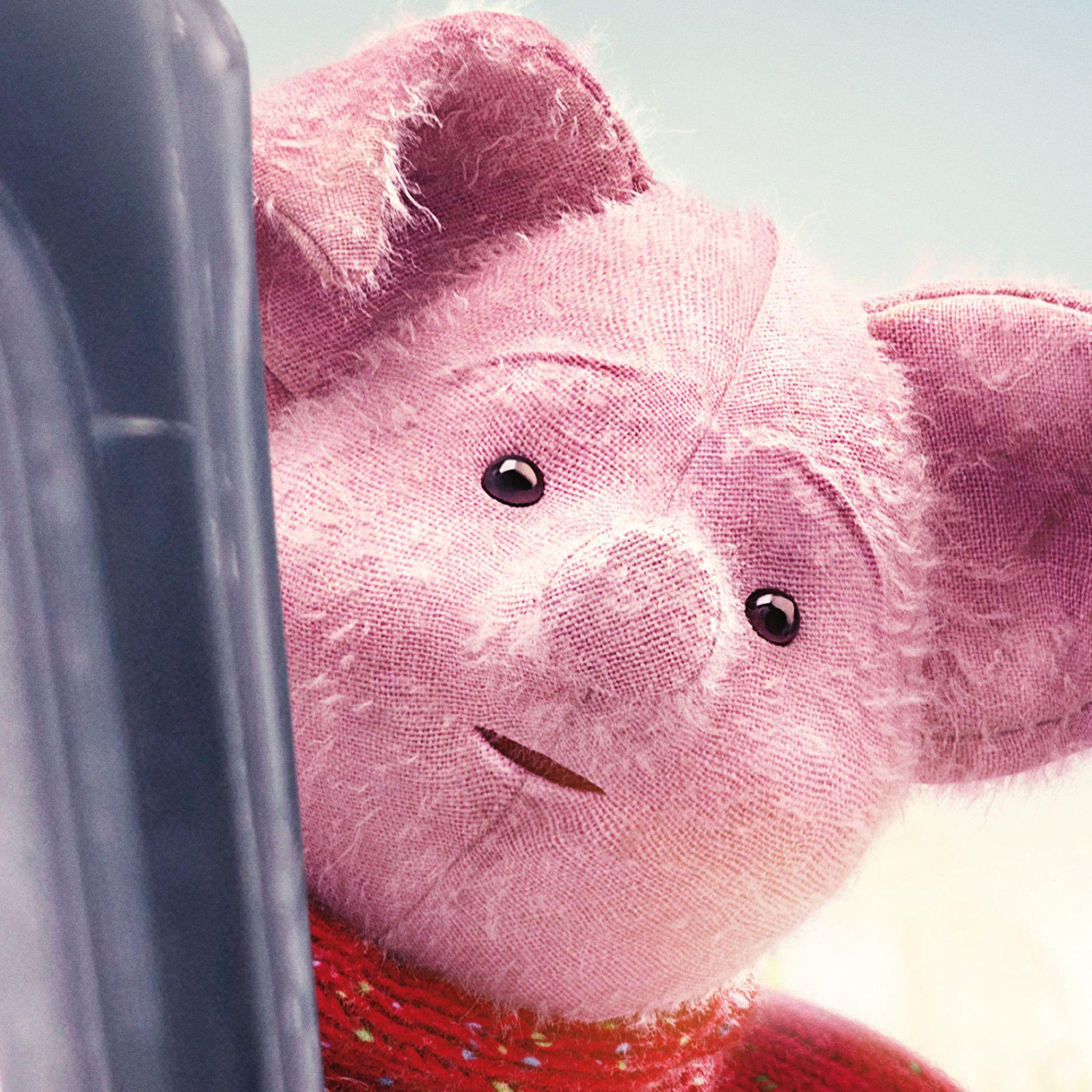 Piglet Wallpapers - Top Free Piglet Backgrounds - WallpaperAccess