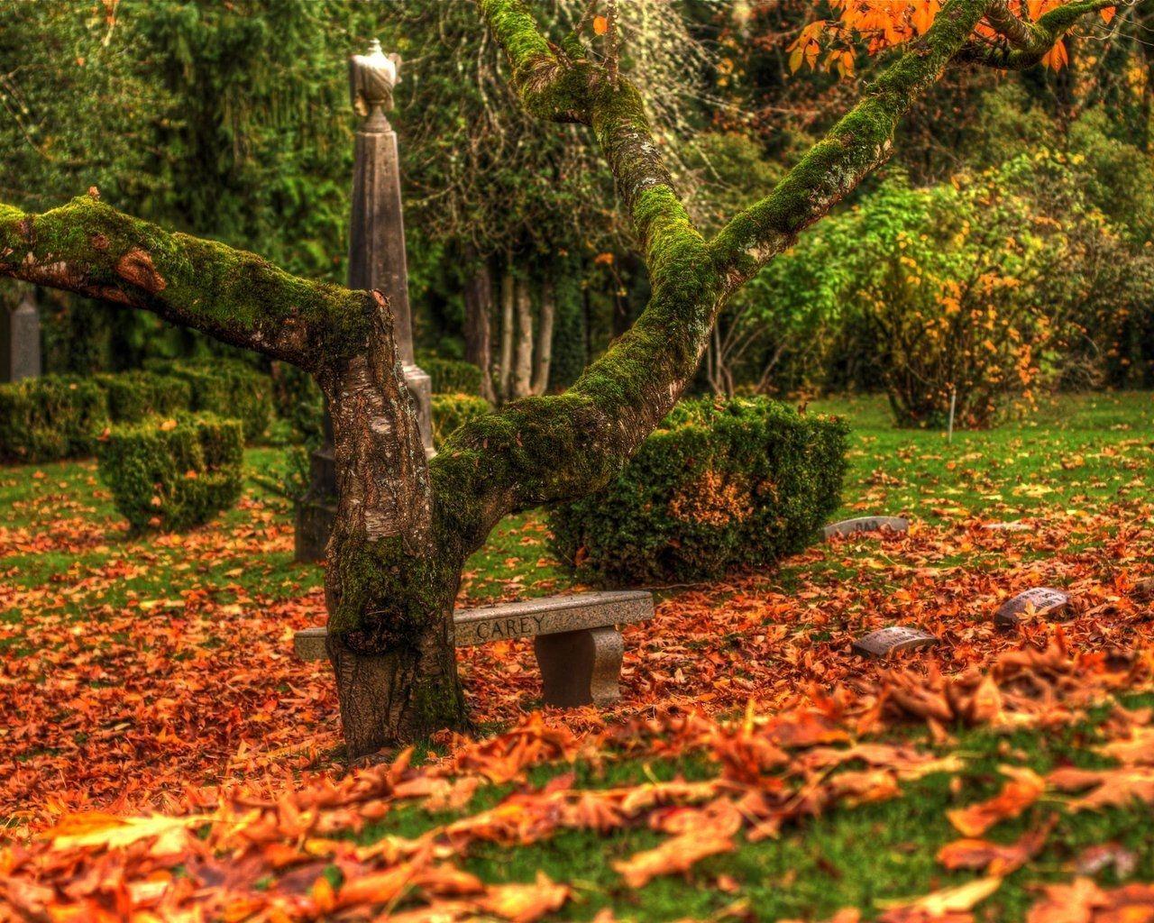 Scenery HD Desktop Wallpapers - Top Free Scenery HD Desktop Backgrounds ...