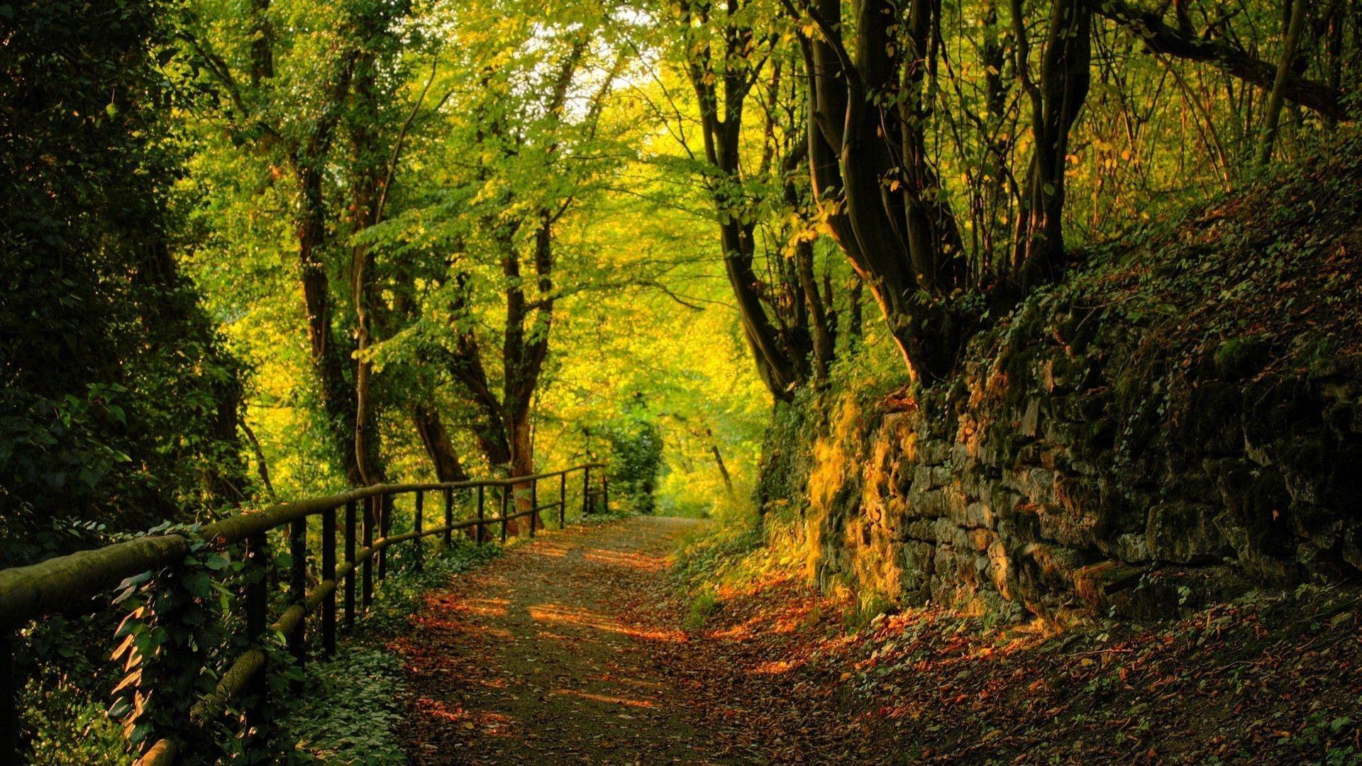 Scenery HD Desktop Wallpapers - Top Free Scenery HD Desktop Backgrounds ...