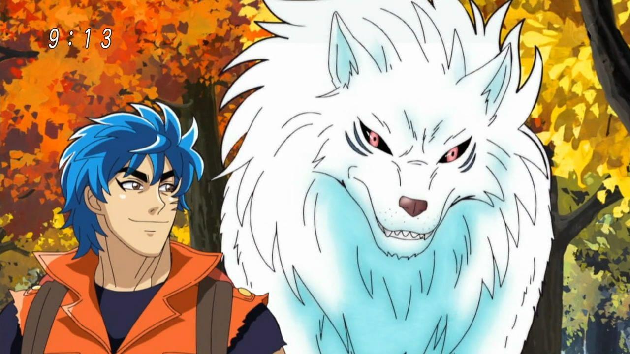 Toriko Wallpapers - Top Free Toriko Backgrounds - WallpaperAccess
