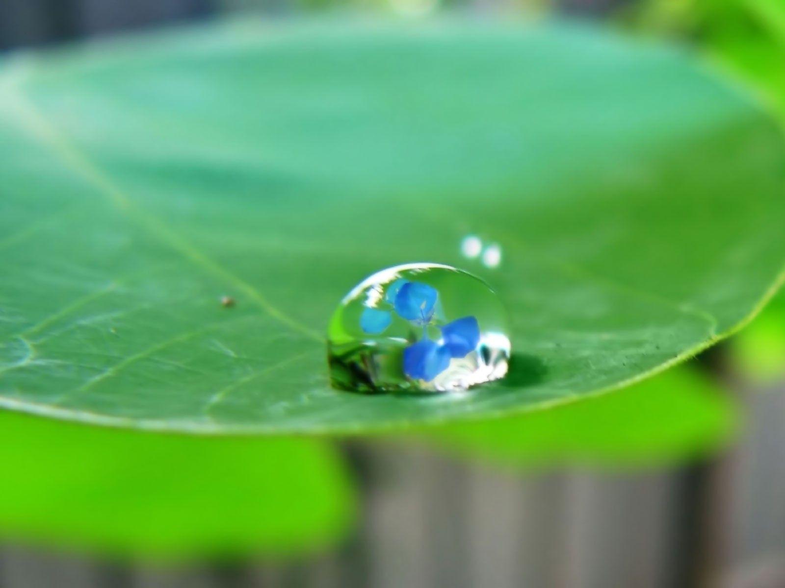 Save Water Wallpapers - Top Free Save Water Backgrounds - WallpaperAccess