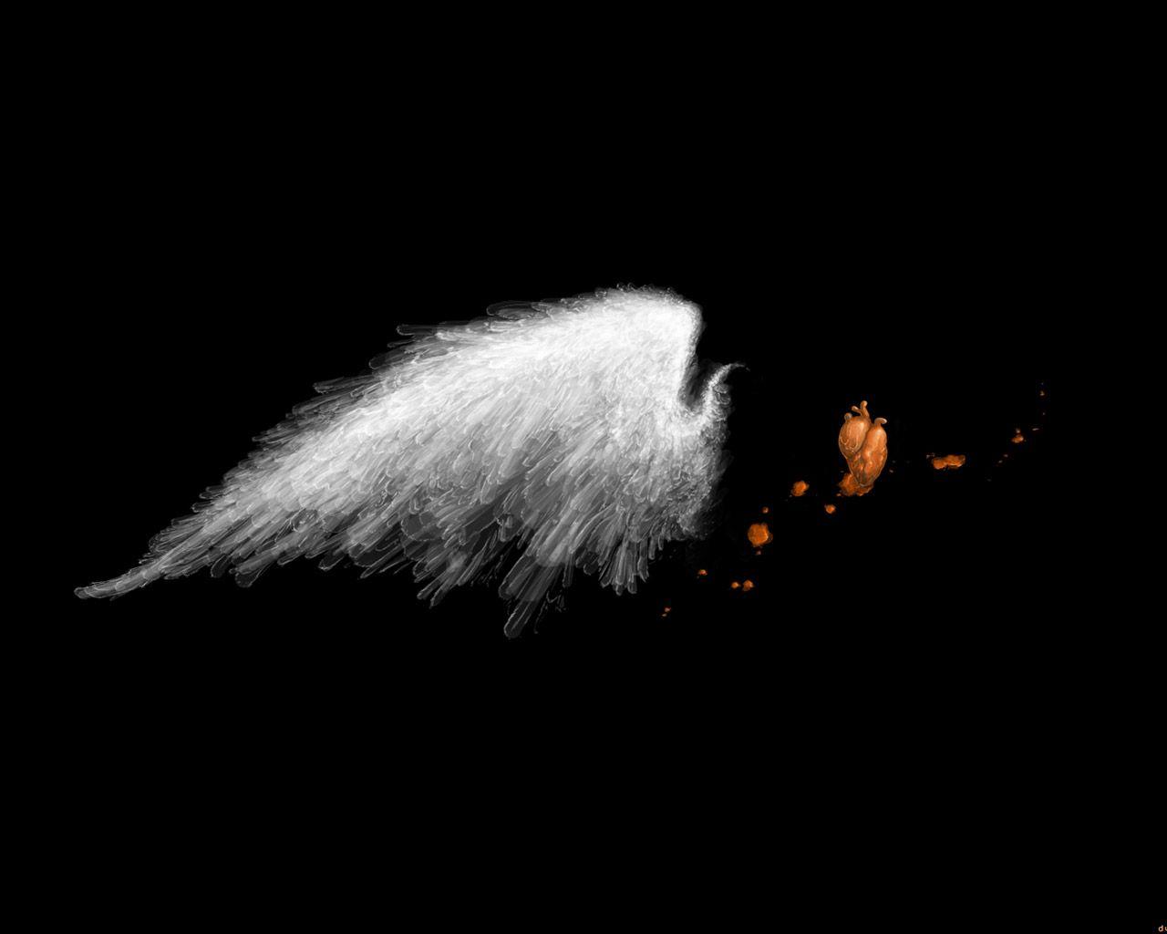 White Angel Wallpapers - Top Free White Angel Backgrounds - WallpaperAccess