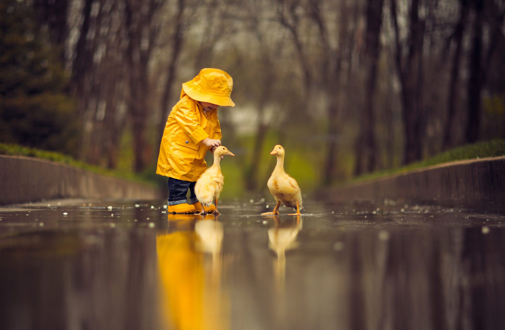 Raincoat Wallpapers - Top Free Raincoat Backgrounds - WallpaperAccess