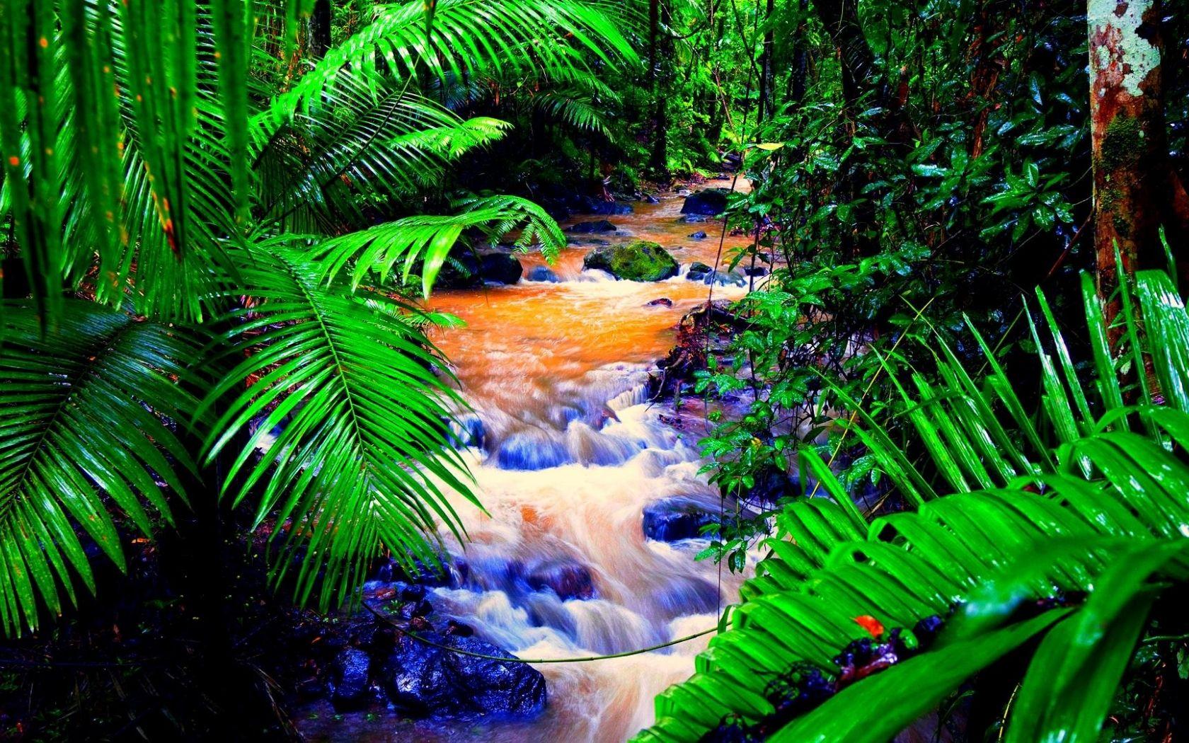 Deforestation Wallpapers - Top Free Deforestation Backgrounds ...