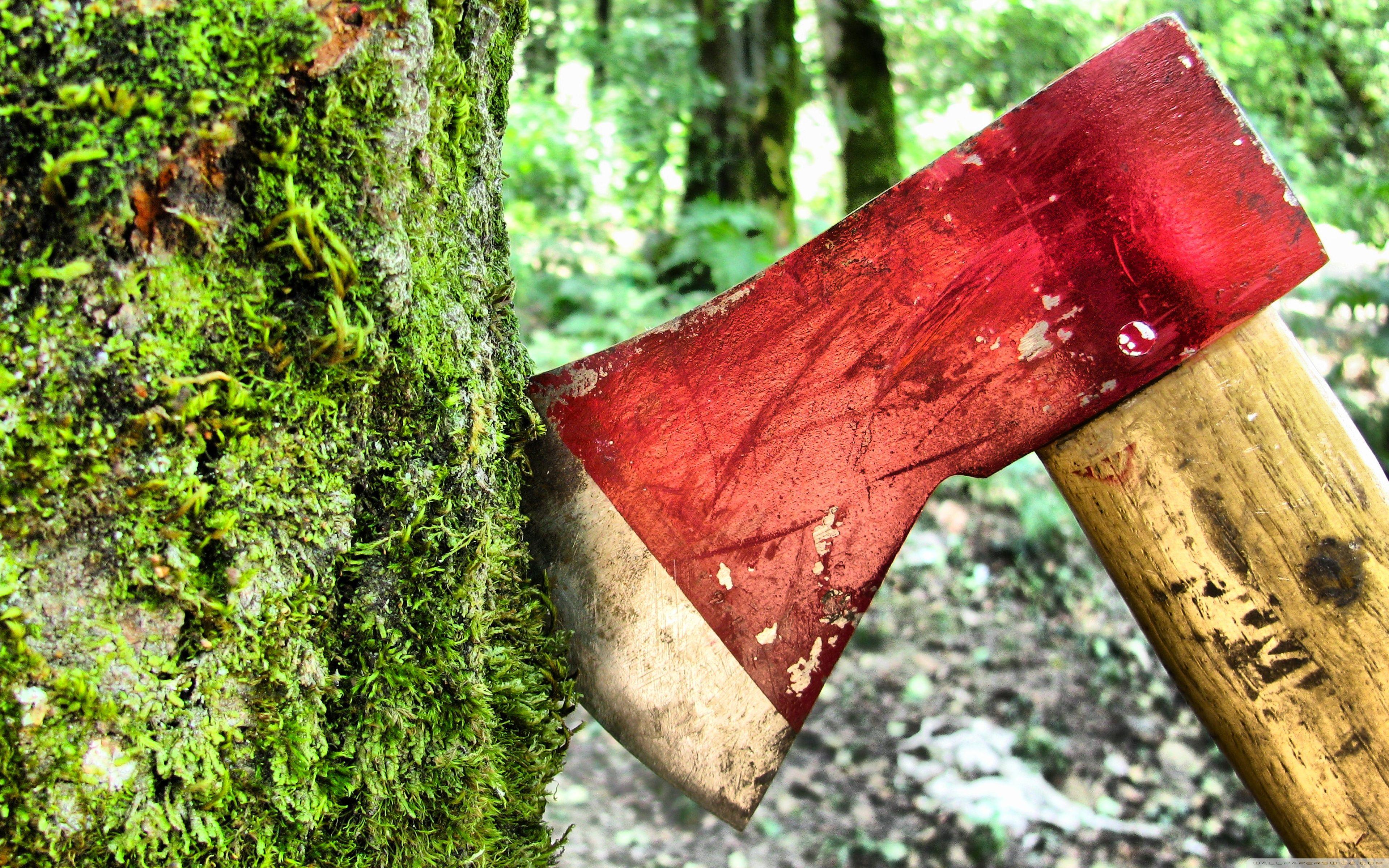 Deforestation Wallpapers - Top Free Deforestation Backgrounds ...